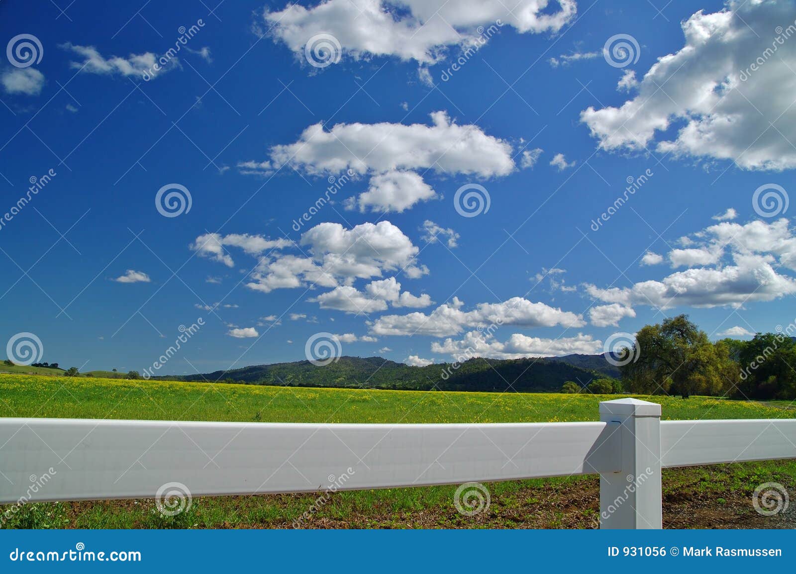 Verdant spring landscape stock photo. Image of countryside - 931056