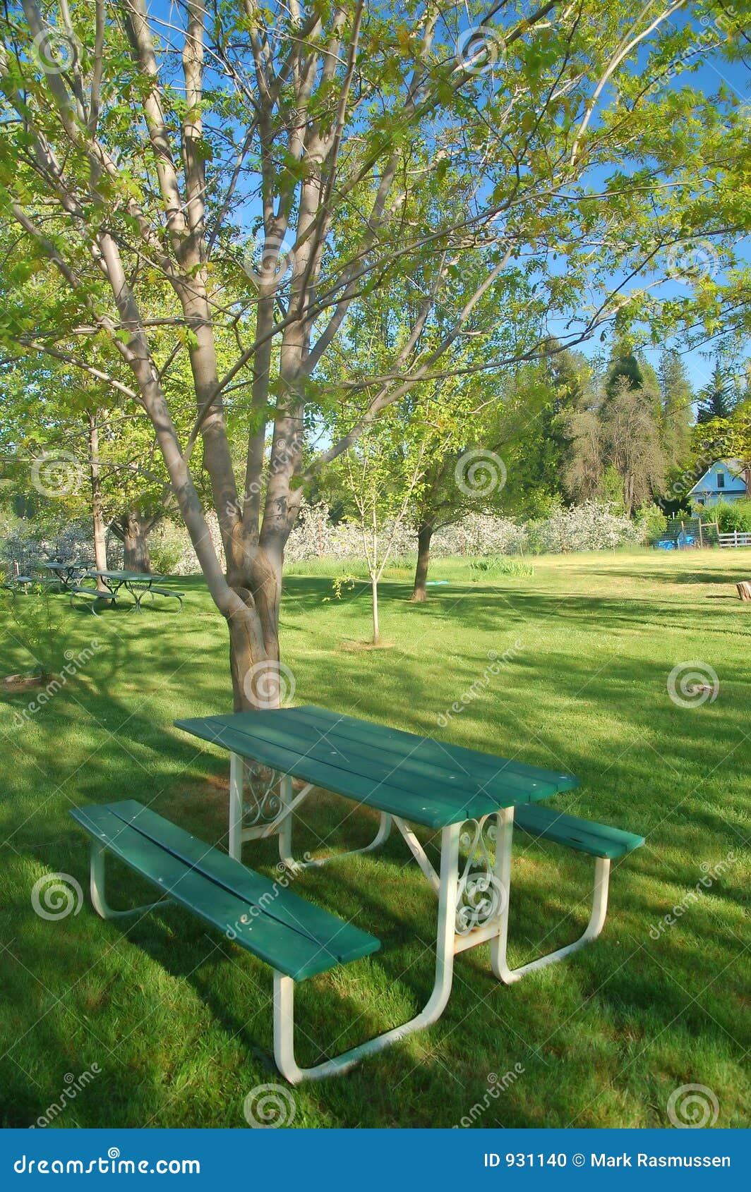 Verdant spring landscape stock photo. Image of table, countryside - 931140