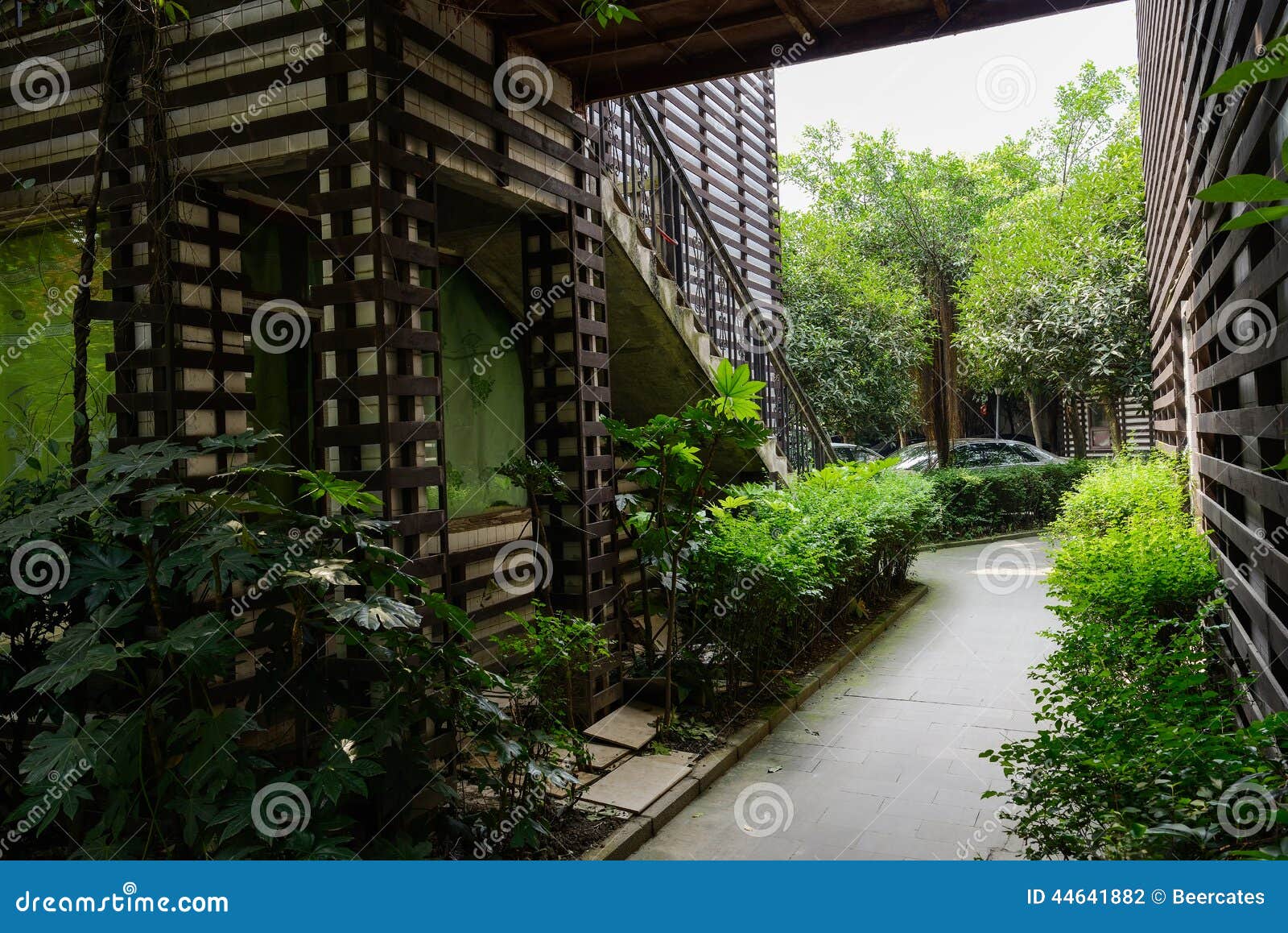 Verdant Trees and Shrubs Near Passageway of Building in Summer Stock ...