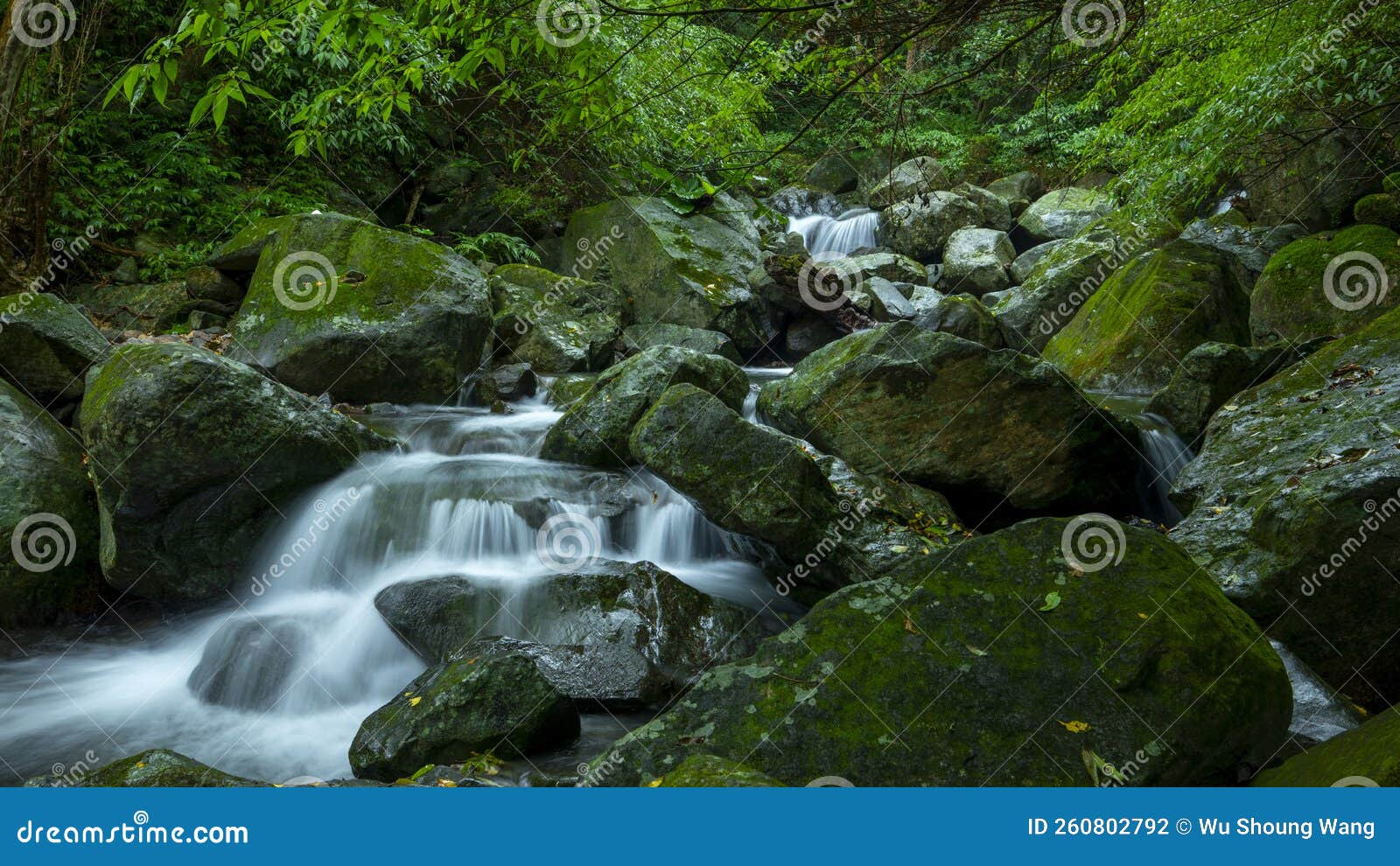 Verdant, Valleys, Streams, Cool, Clear, Streams Stock Photo - Image of ...