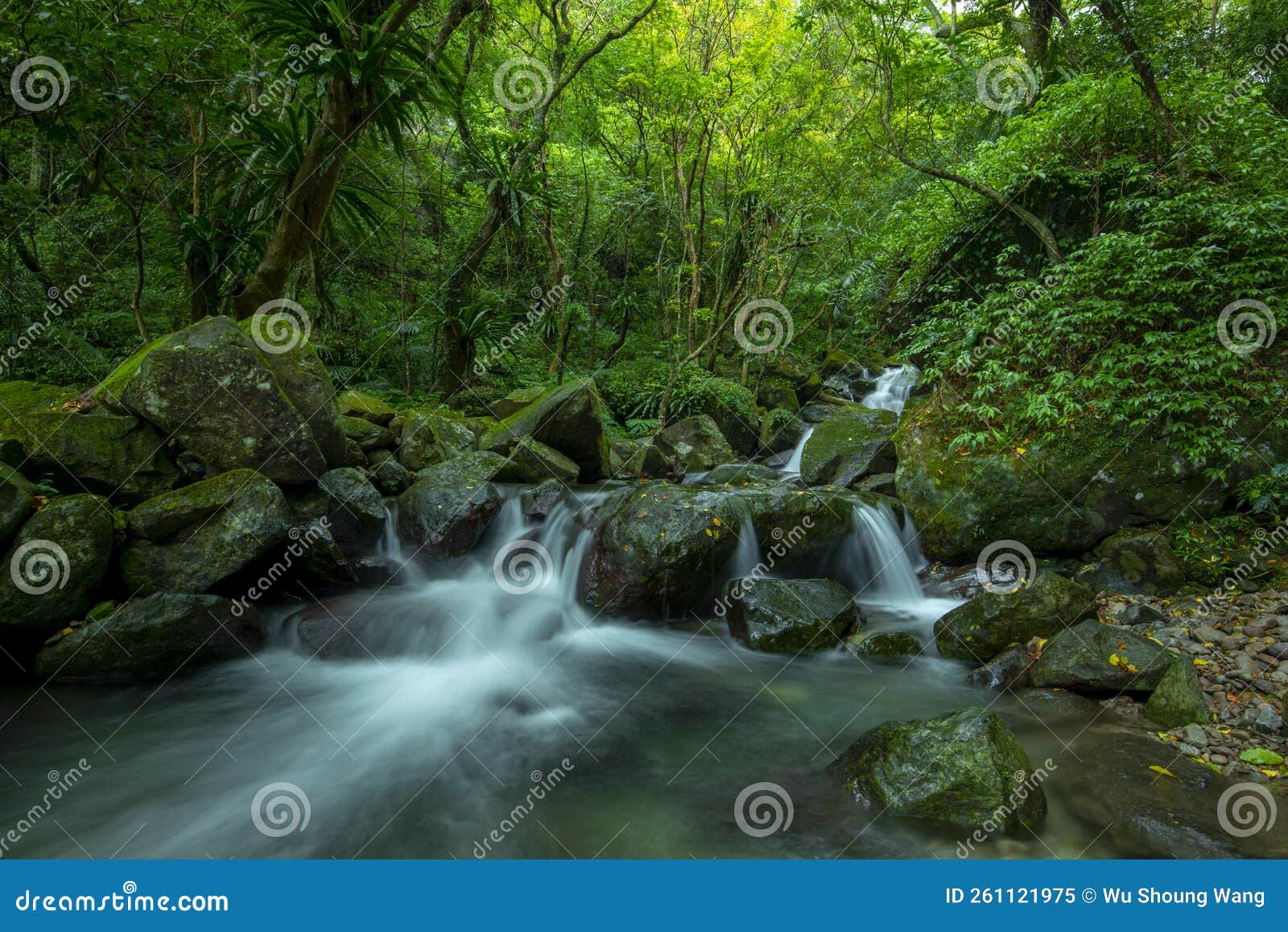 Verdant, Valleys, Streams, Cool, Clear, Streams Stock Image - Image of ...