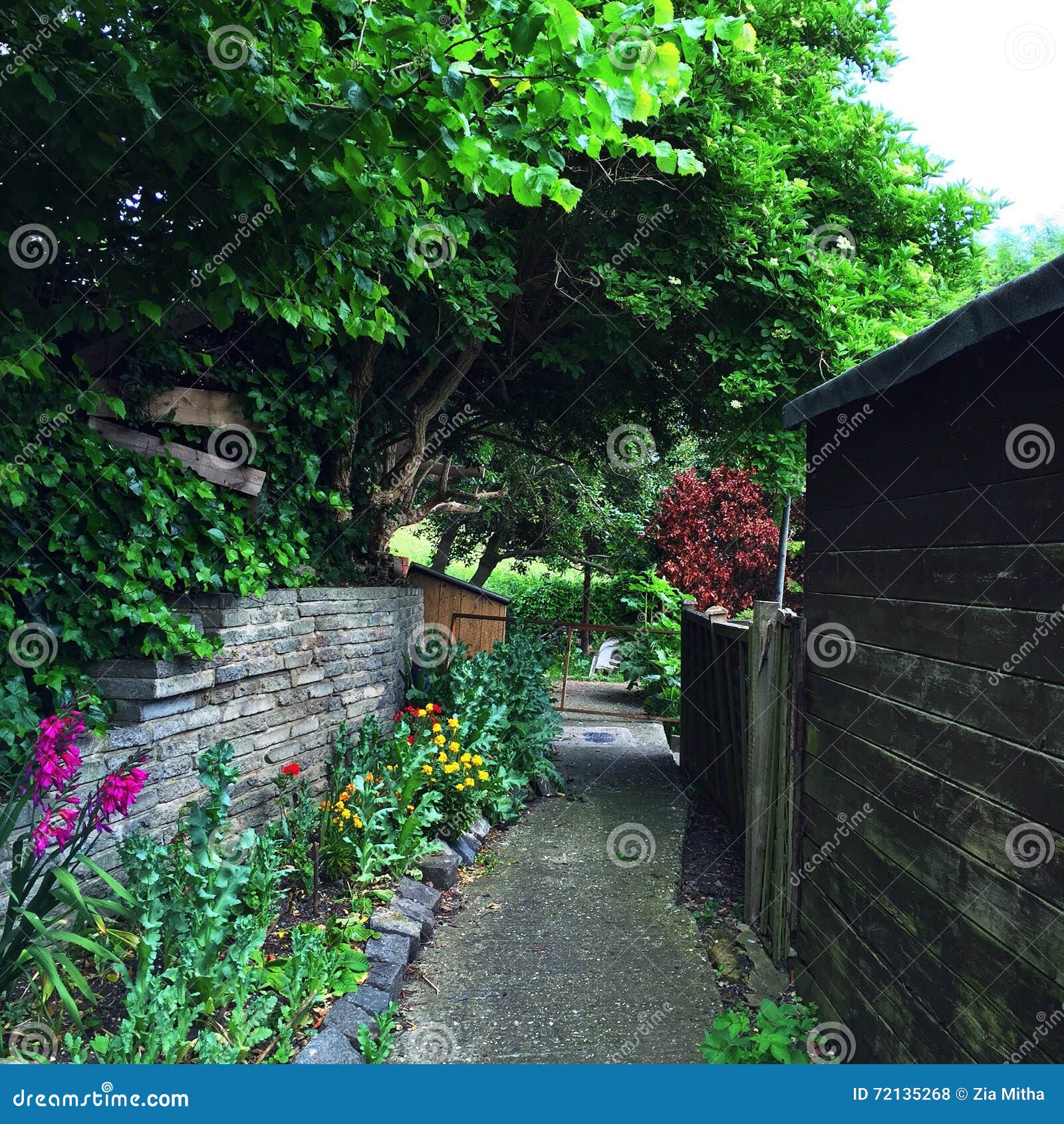 Verde, color de la envidia foto de archivo. Imagen de cuadro - 72135268