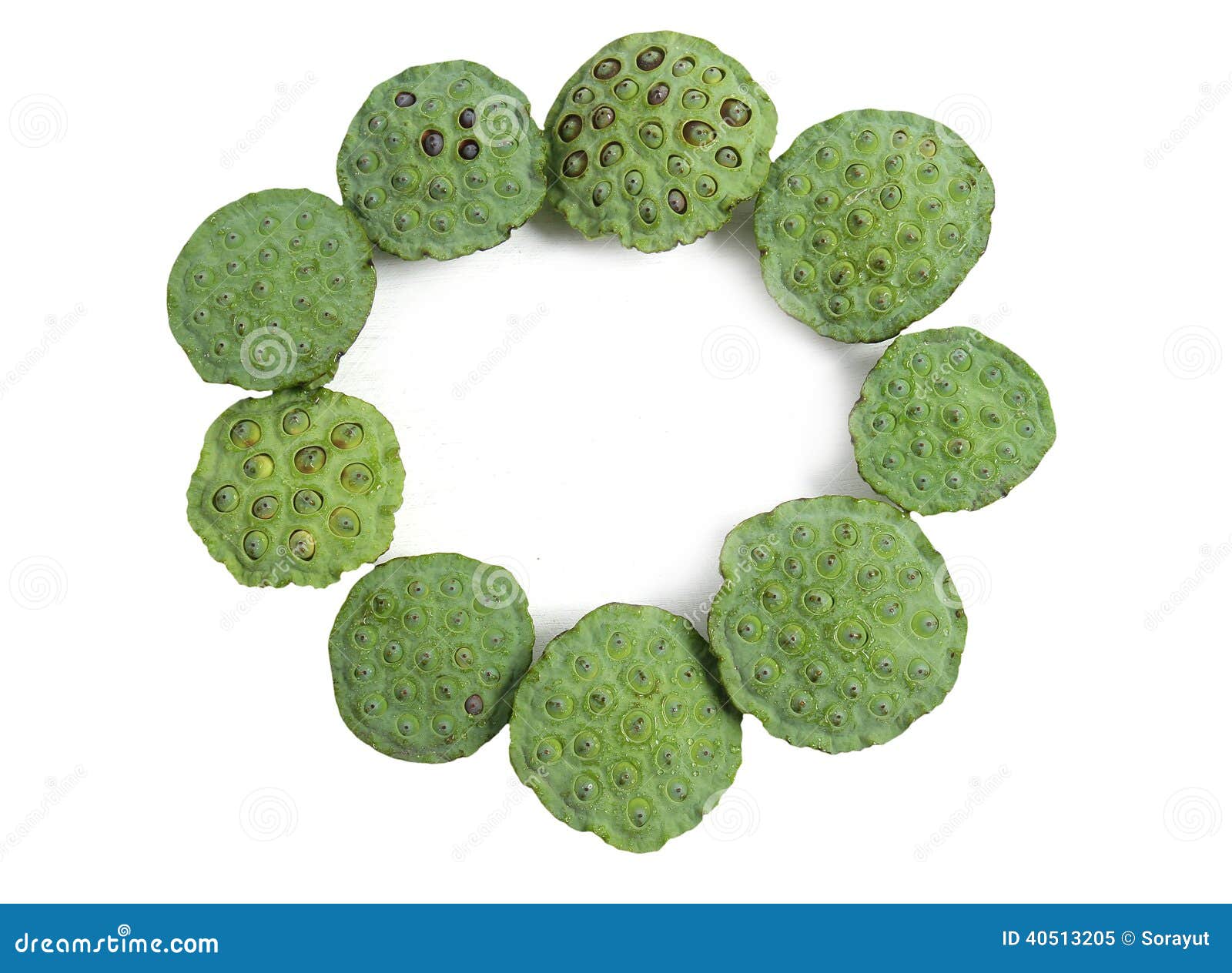 Verde Das Sementes De Lotus Isolado Imagem de Stock - Imagem de naco ...