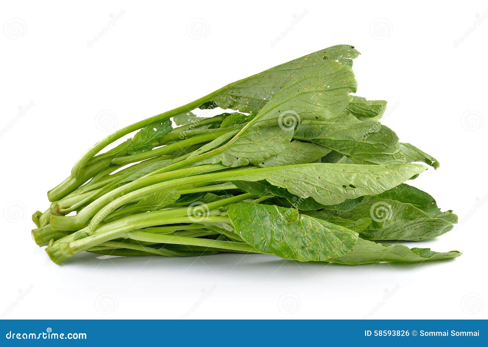 Verde De Mostarda Chinesa No Fundo Branco (Nontoxic) Foto de Stock ...