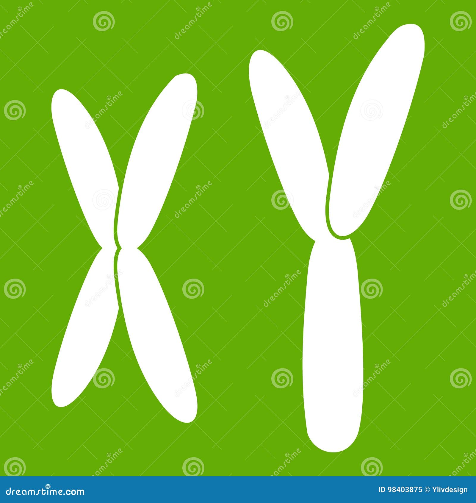 Verde Del Icono De Los Cromosomas Humanos Ilustración del Vector - Ilustración de estructura ...