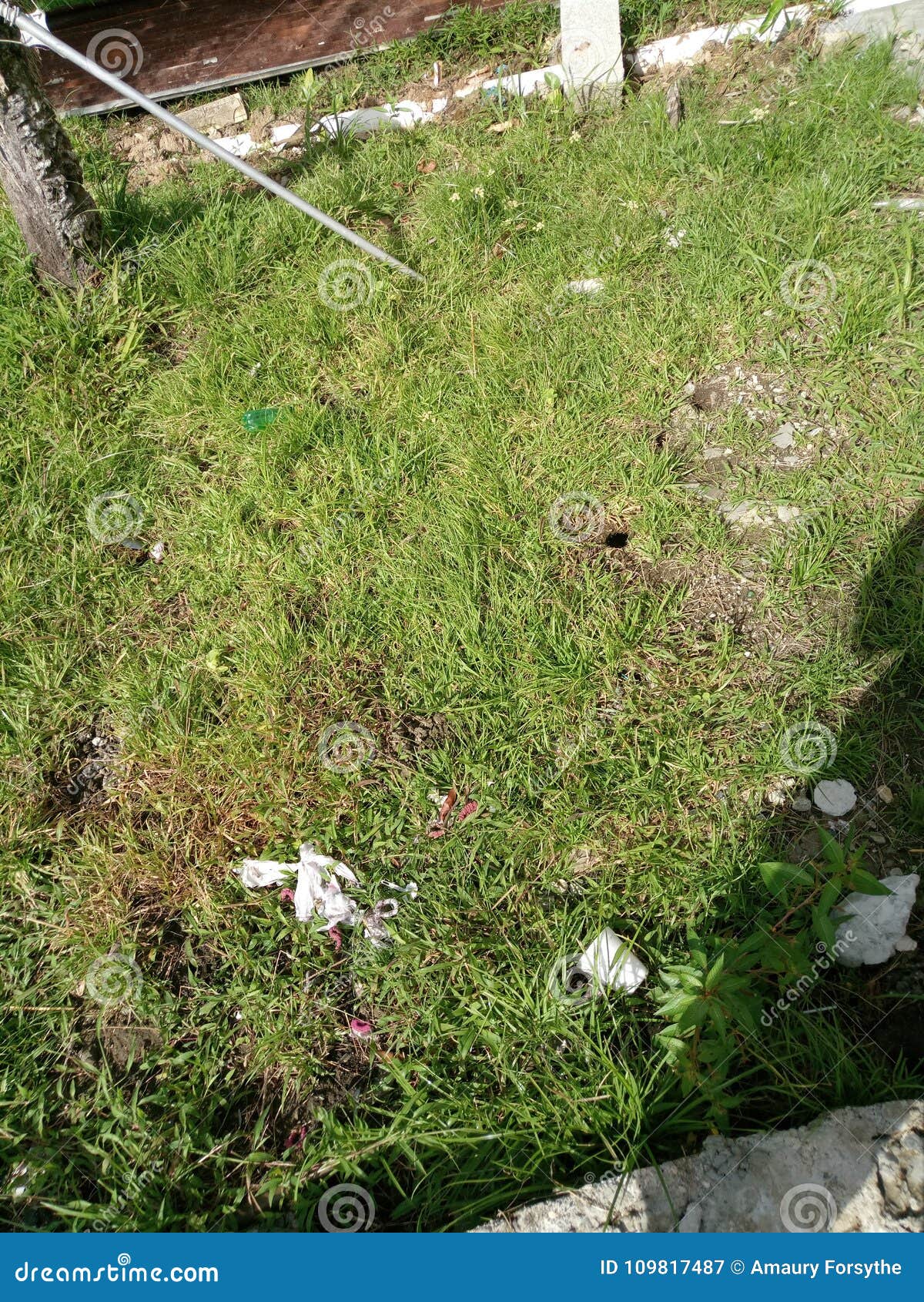 Verde del patio imagen de archivo. Imagen de verde, patio - 109817487