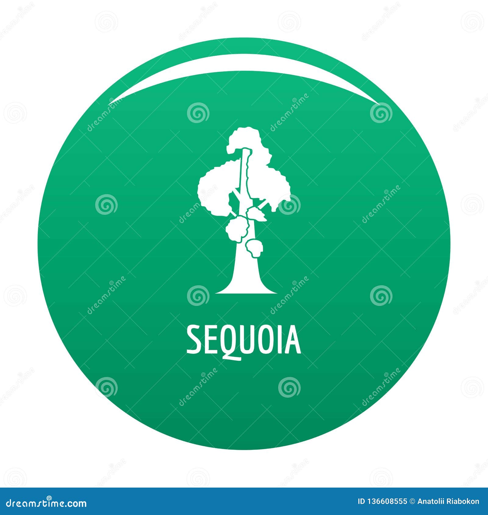 Verde Del Vector Del Icono De La Secoya Ilustración del Vector ...