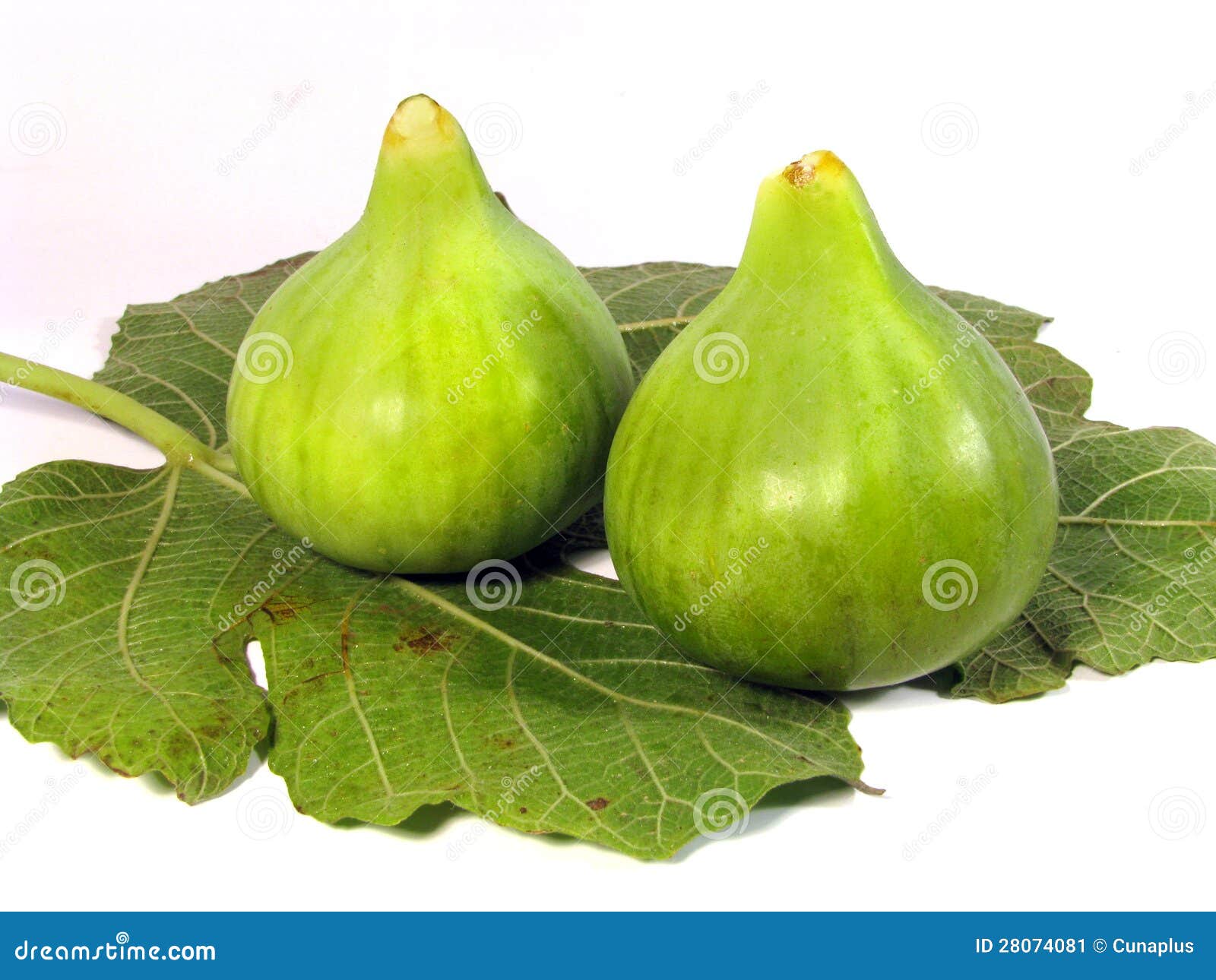 Verde fresco de los higos imagen de archivo. Imagen de ingrediente ...