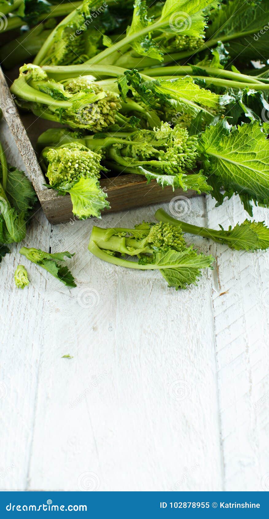 Verdes de nabo imagem de stock. Imagem de altos, placa - 102878955