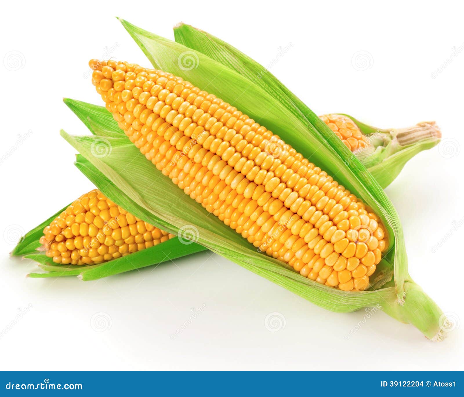 Verdura cruda del maíz foto de archivo. Imagen de alimento - 39122204