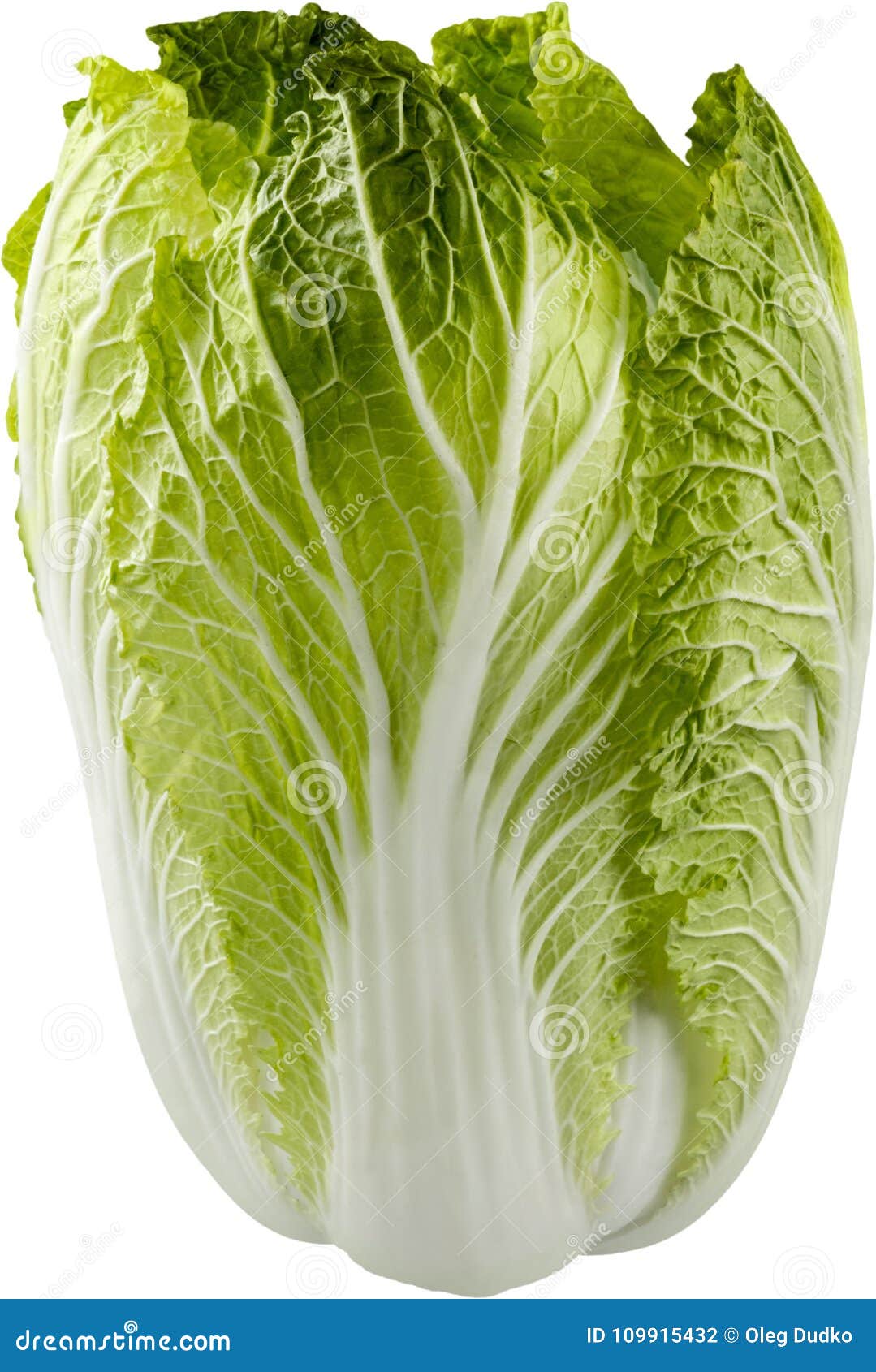 Verdura De La Col Verde En Blanco Foto de archivo - Imagen de cosecha ...