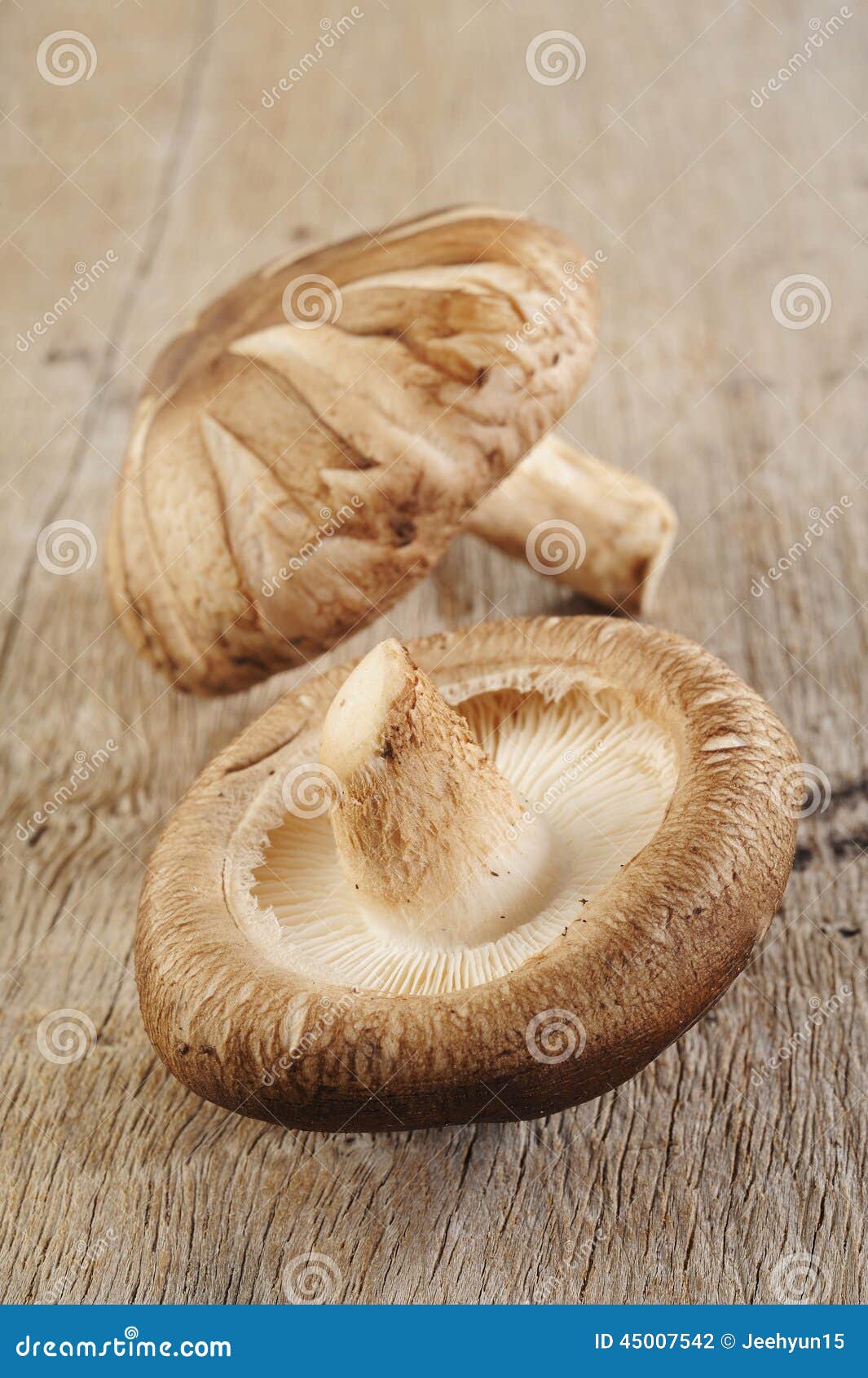 Verdura de la seta foto de archivo. Imagen de cosecha - 45007542