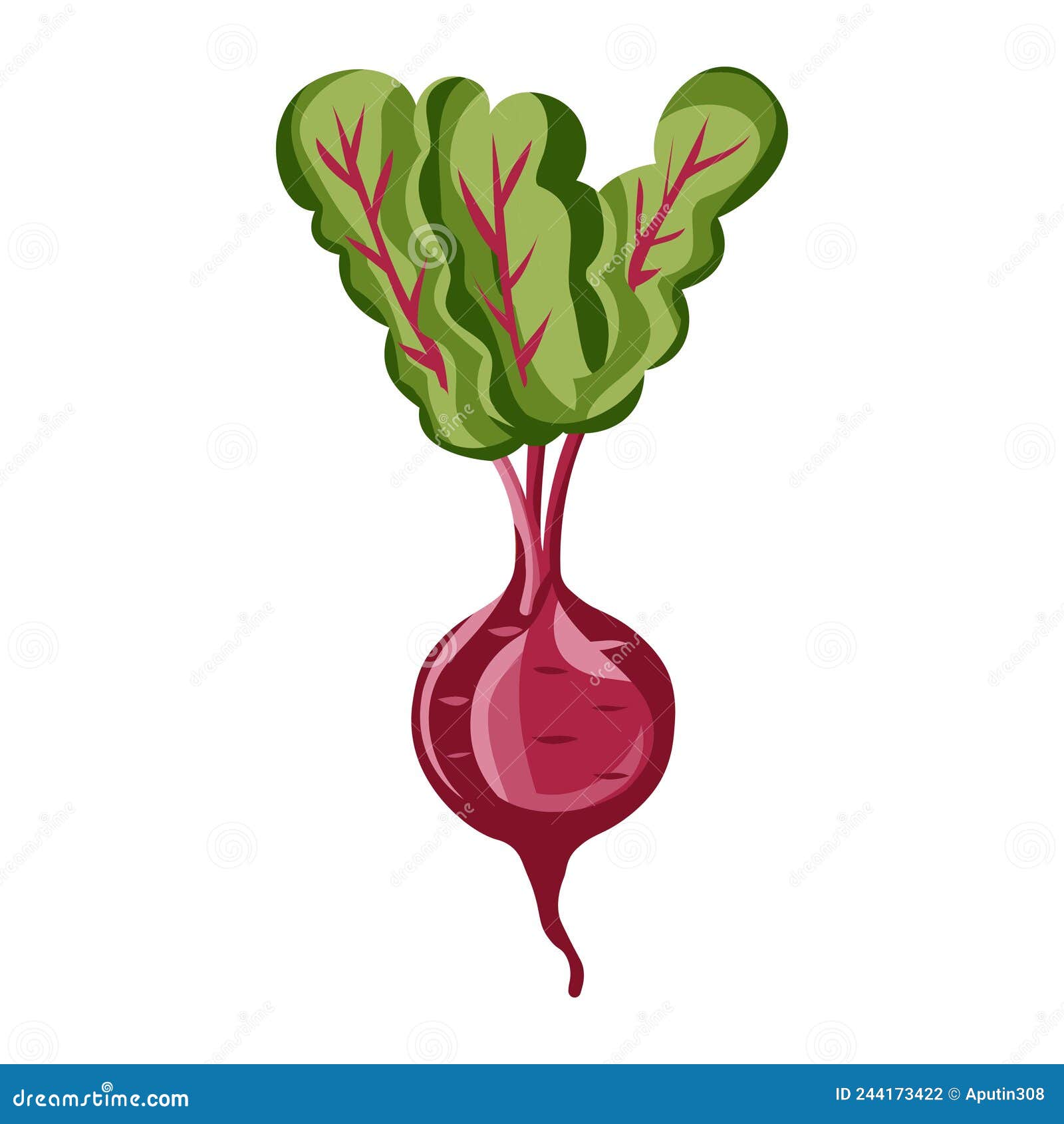 Verdura De Remolacha Aislada De Color Vectorial Ilustración del Vector ...