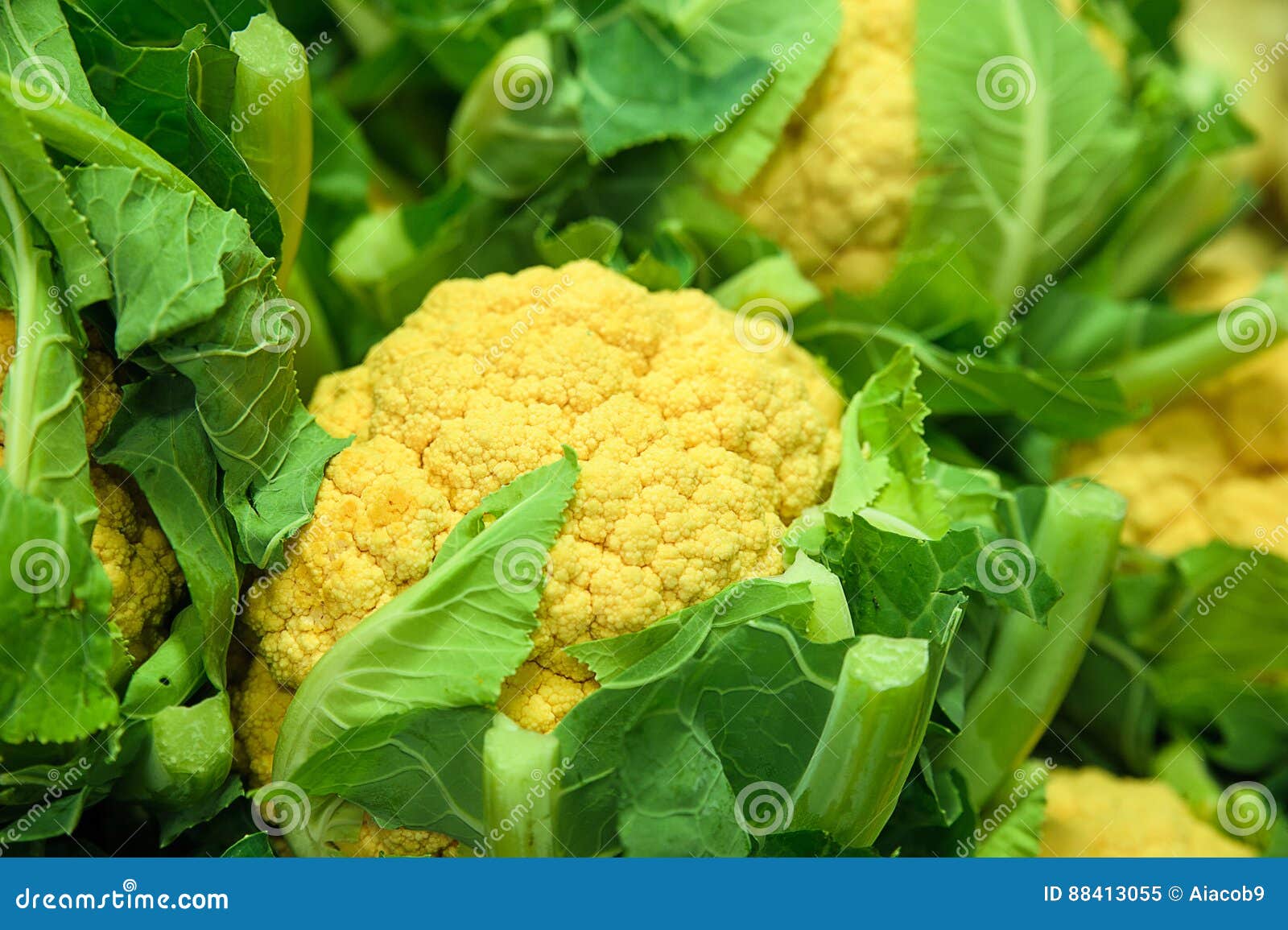 Verdura Fea - Amarillo O Coliflor Del Cheddar Imagen de archivo ...