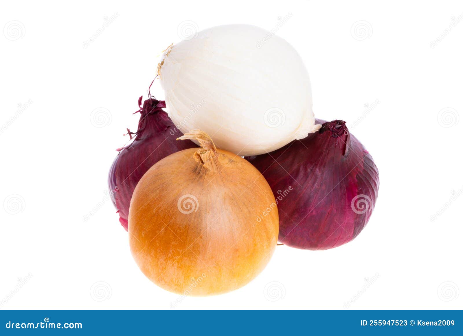 Verduras De Cebolla Aisladas Imagen de archivo - Imagen de vegetariano ...