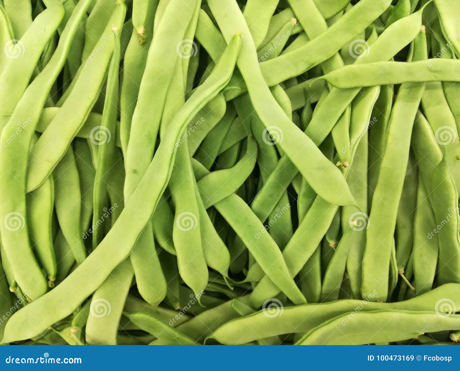Verduras De Las Habas Verdes Imagen de archivo - Imagen de alimento ...
