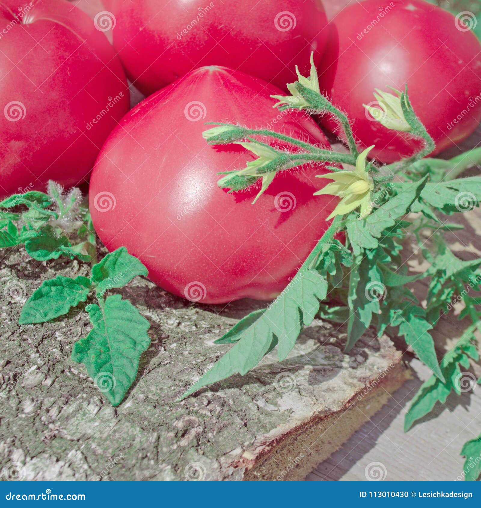 Verduras Rosadas Del Tomate Foto de archivo - Imagen de primer ...