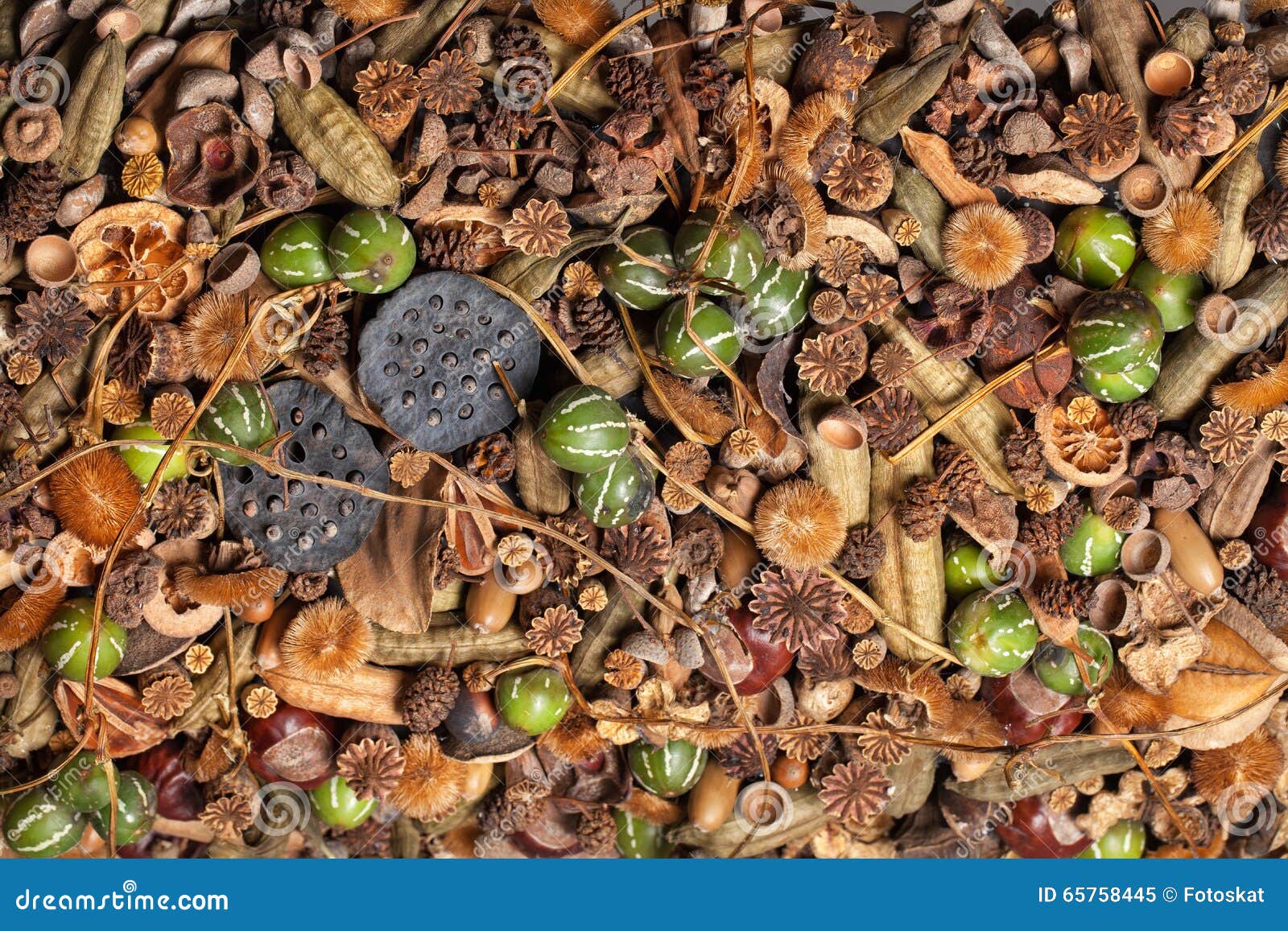 Verduras secas imagen de archivo. Imagen de vida, fondo - 65758445