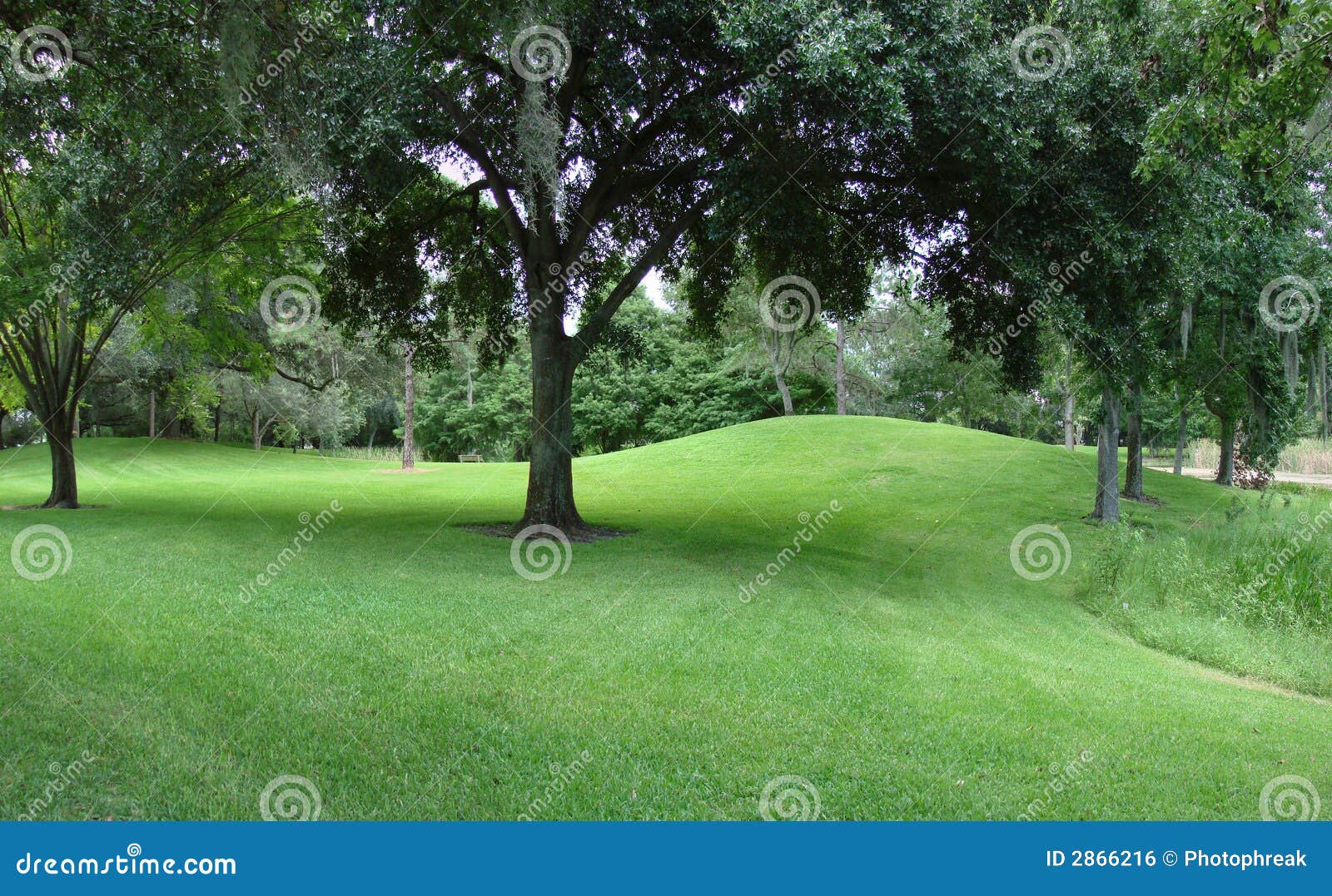 Verdure photo stock. Image du verdure, pré, herbeux, durée - 2866216