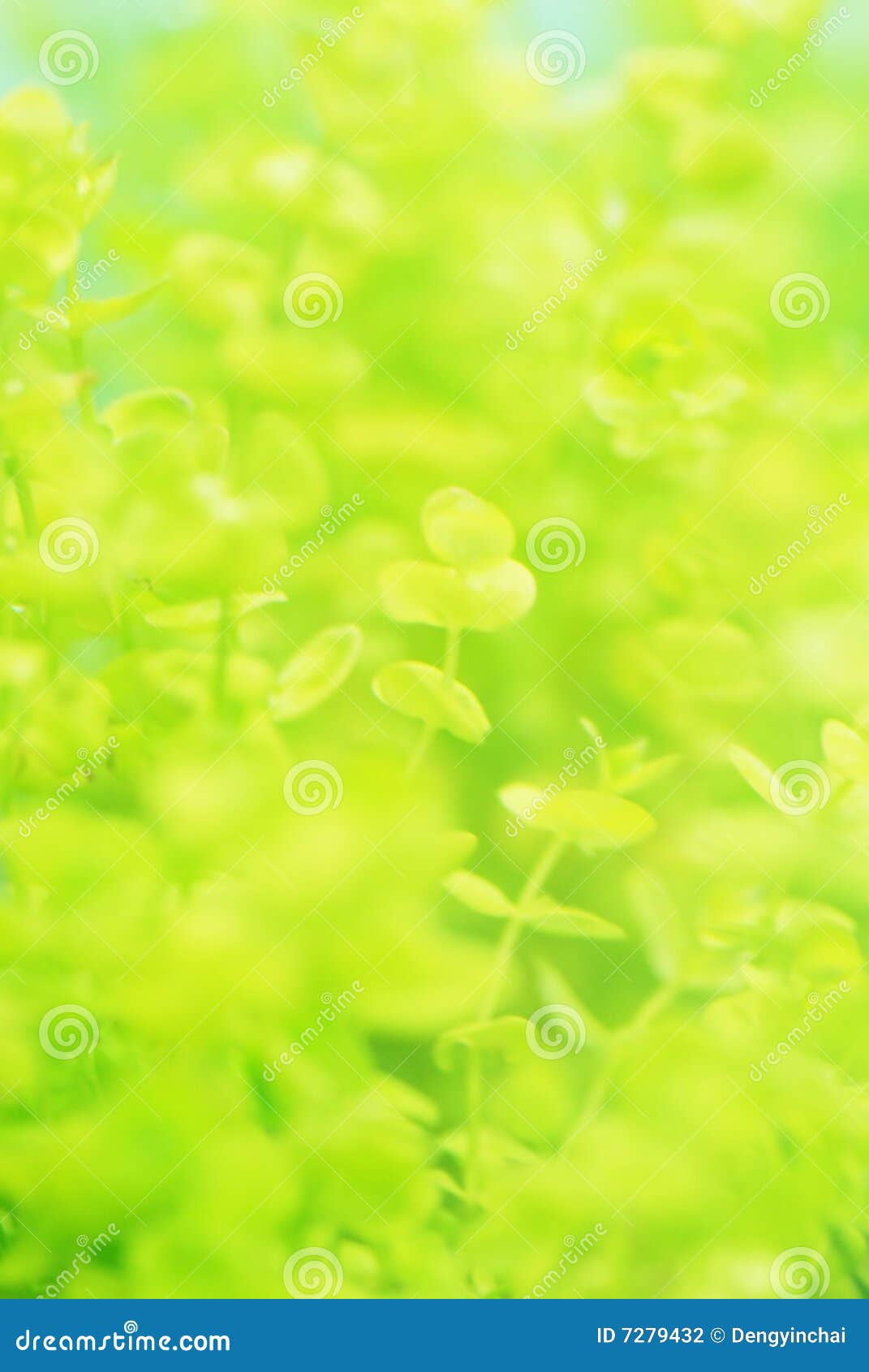 Verdure under water plant stock photo. Image of peace - 7279432