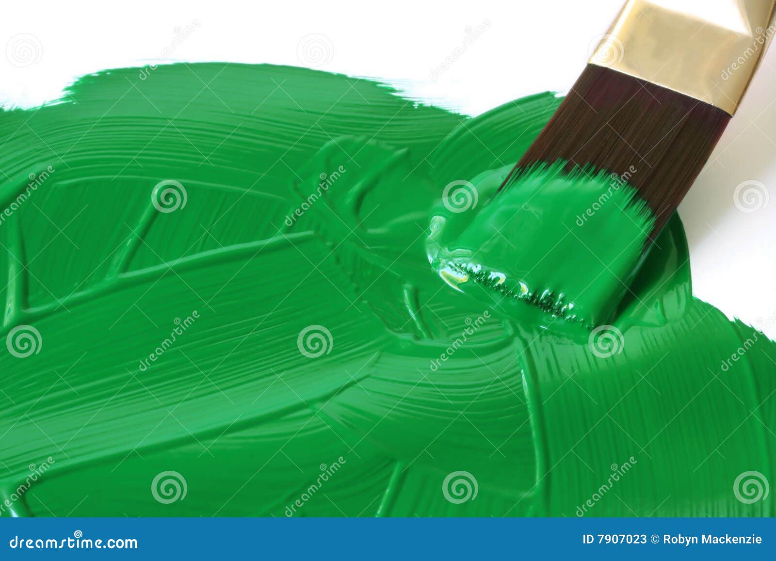 Verf Groen het stock afbeelding. Image of kader, niemand - 7907023