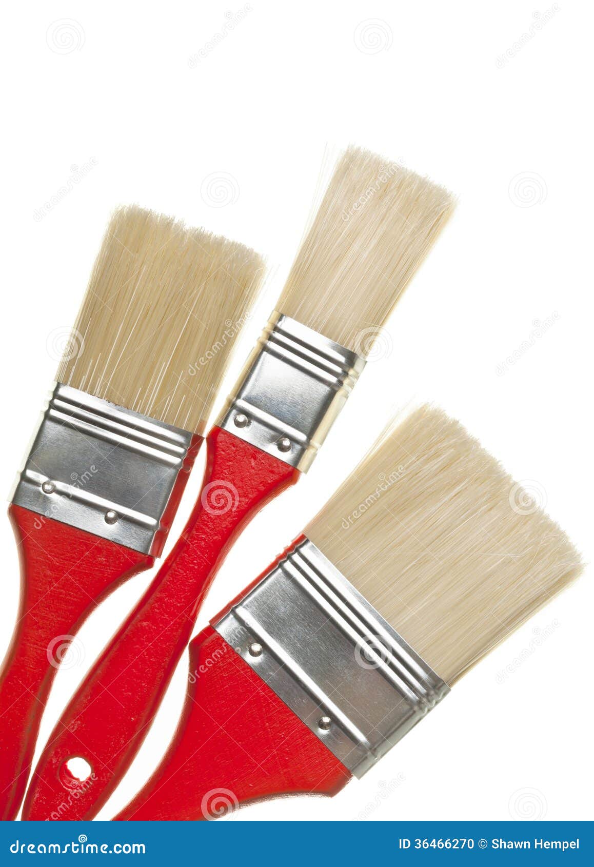 Verfborstels stock foto. Image of artistiek, geïsoleerd - 36466270