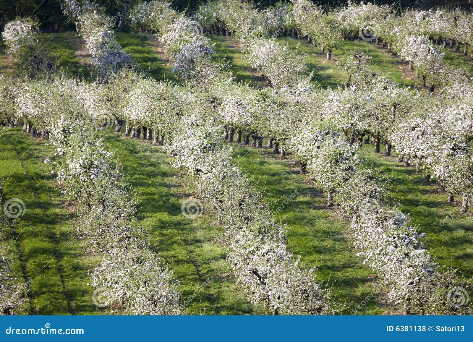 Vergers Photos Stock - Téléchargez 8,228 Photos libres de droits