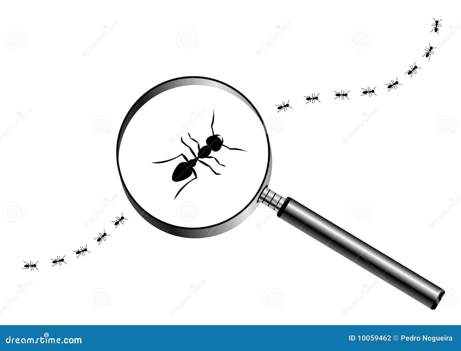 Vergrootglas Met Het Marcheren Van Mieren Vector Illustratie ...