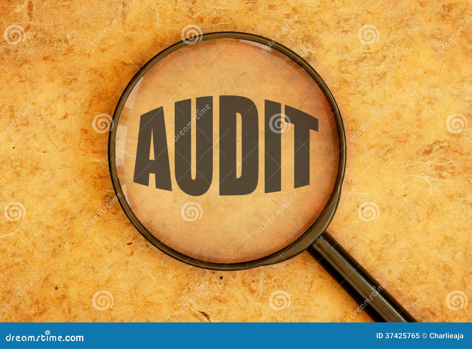 Verifica immagine stock. Immagine di finanza, valutazione - 37425765