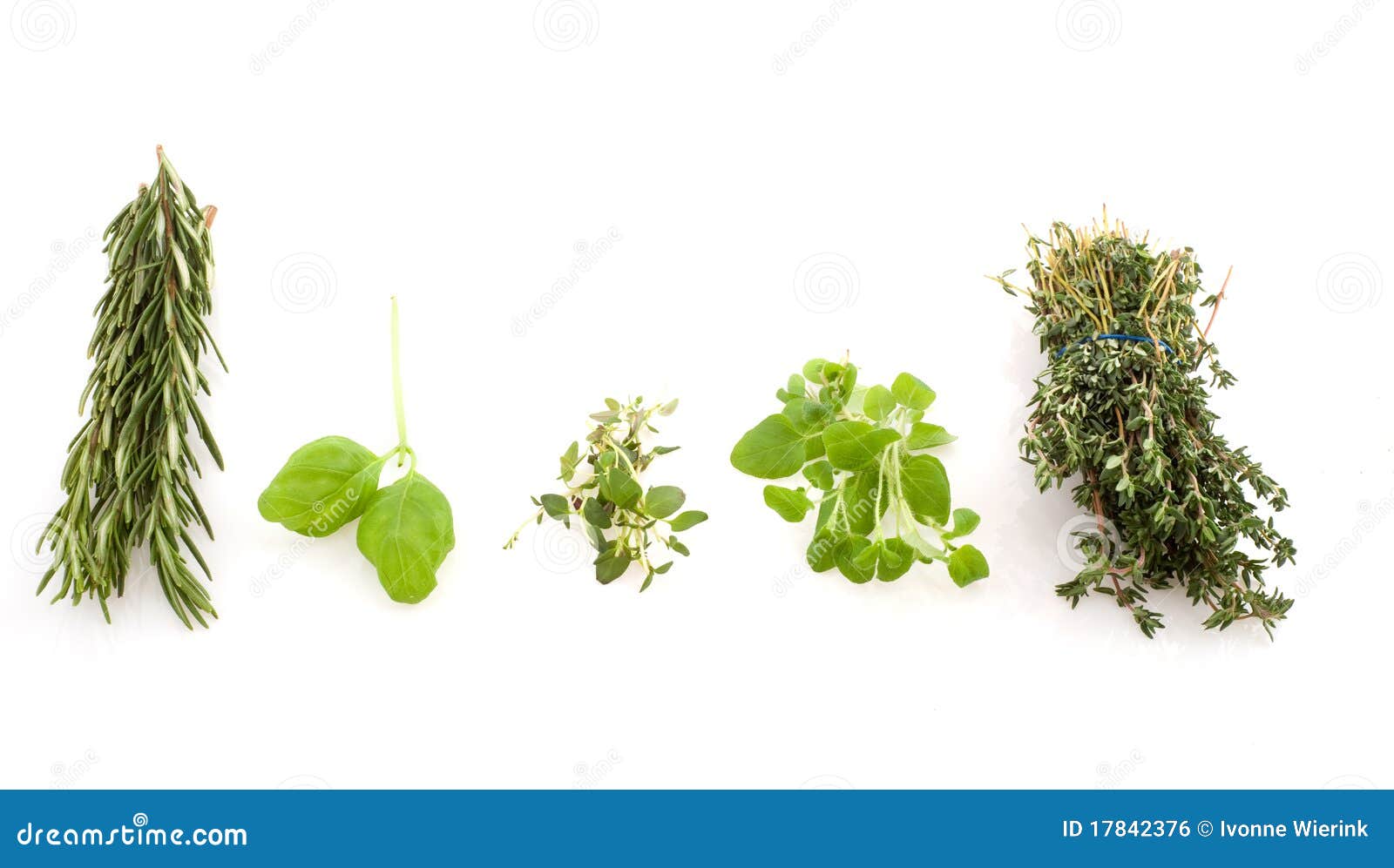 Verious herbs stock photo. Image of cooking, sprigs, basil - 17842376