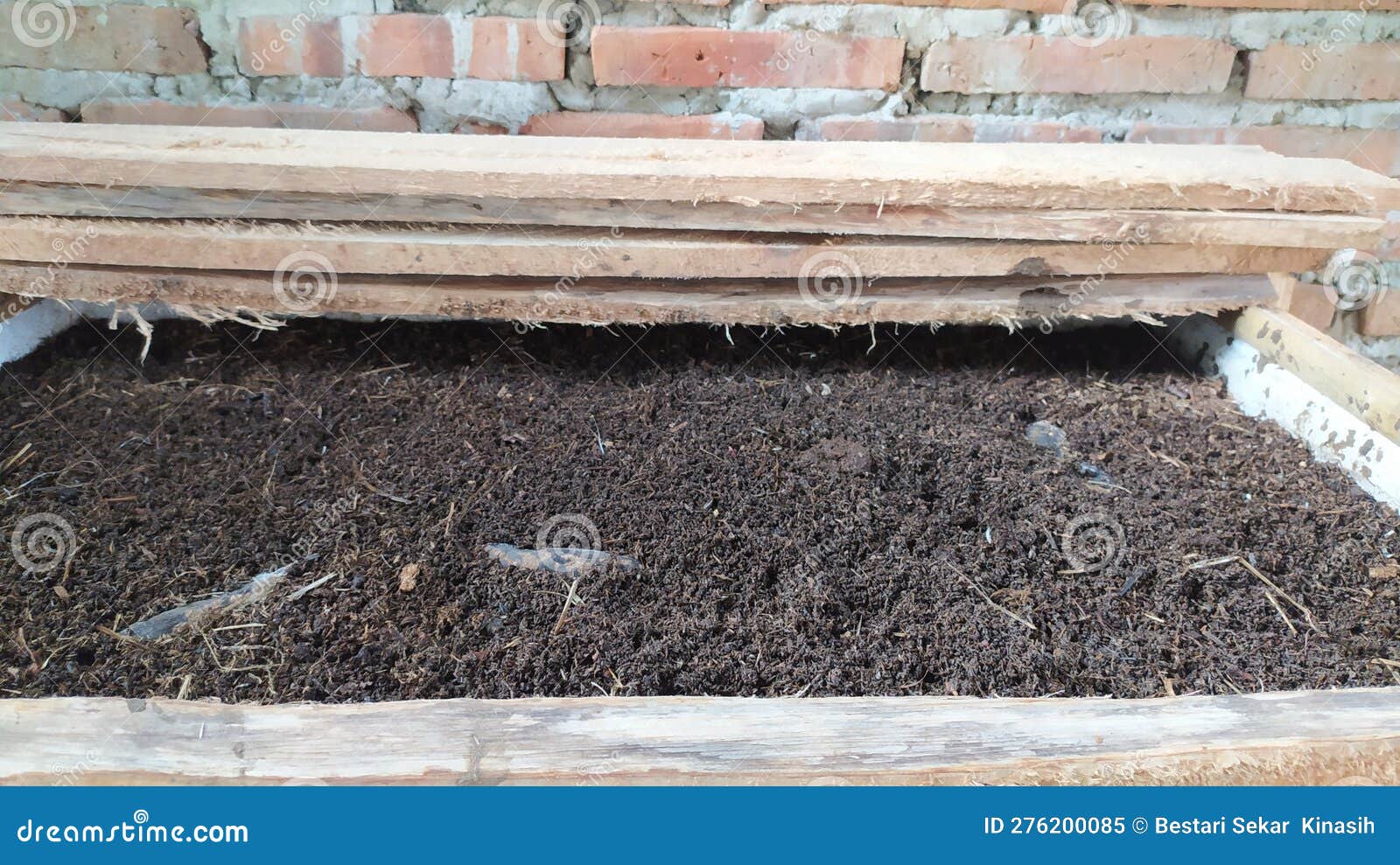 Vermicompost Organic Fertilizer Which Has Many Advantages Stock Image ...