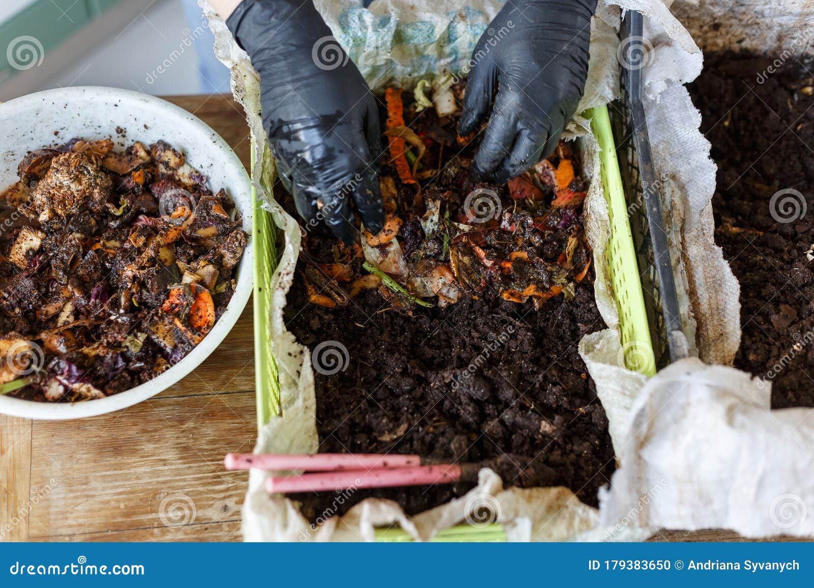 Vermicomposting Food Leftovers at Home. Zero Waste Stock Photo - Image ... Vermicomposting Food Leftovers at Home. Zero Waste Stock Photo - Image ...