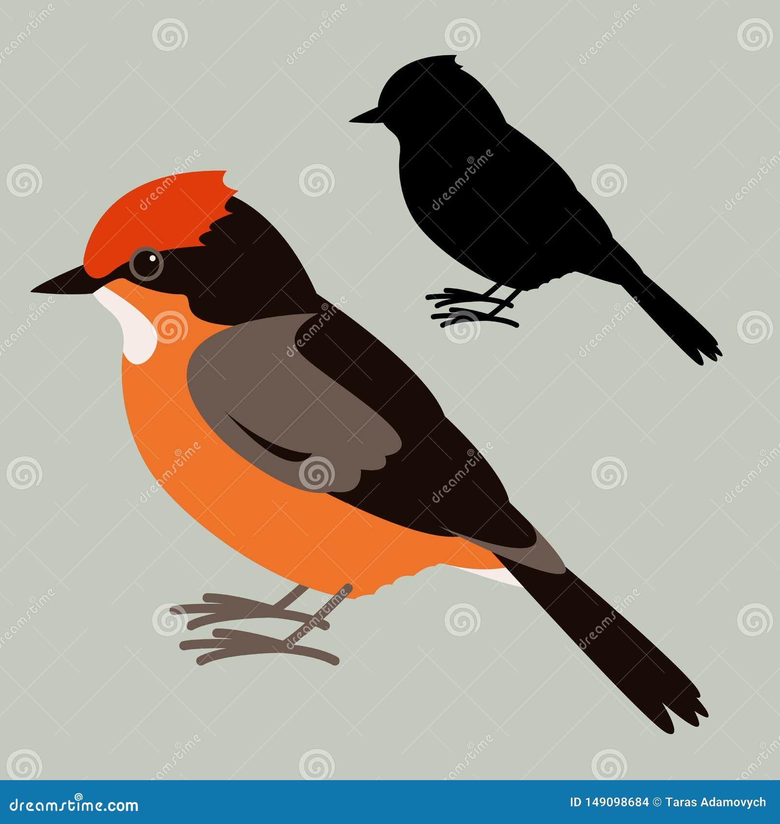 Vermilion Flycatcher, Vector Illustration,flat Style,black Silhouette ...