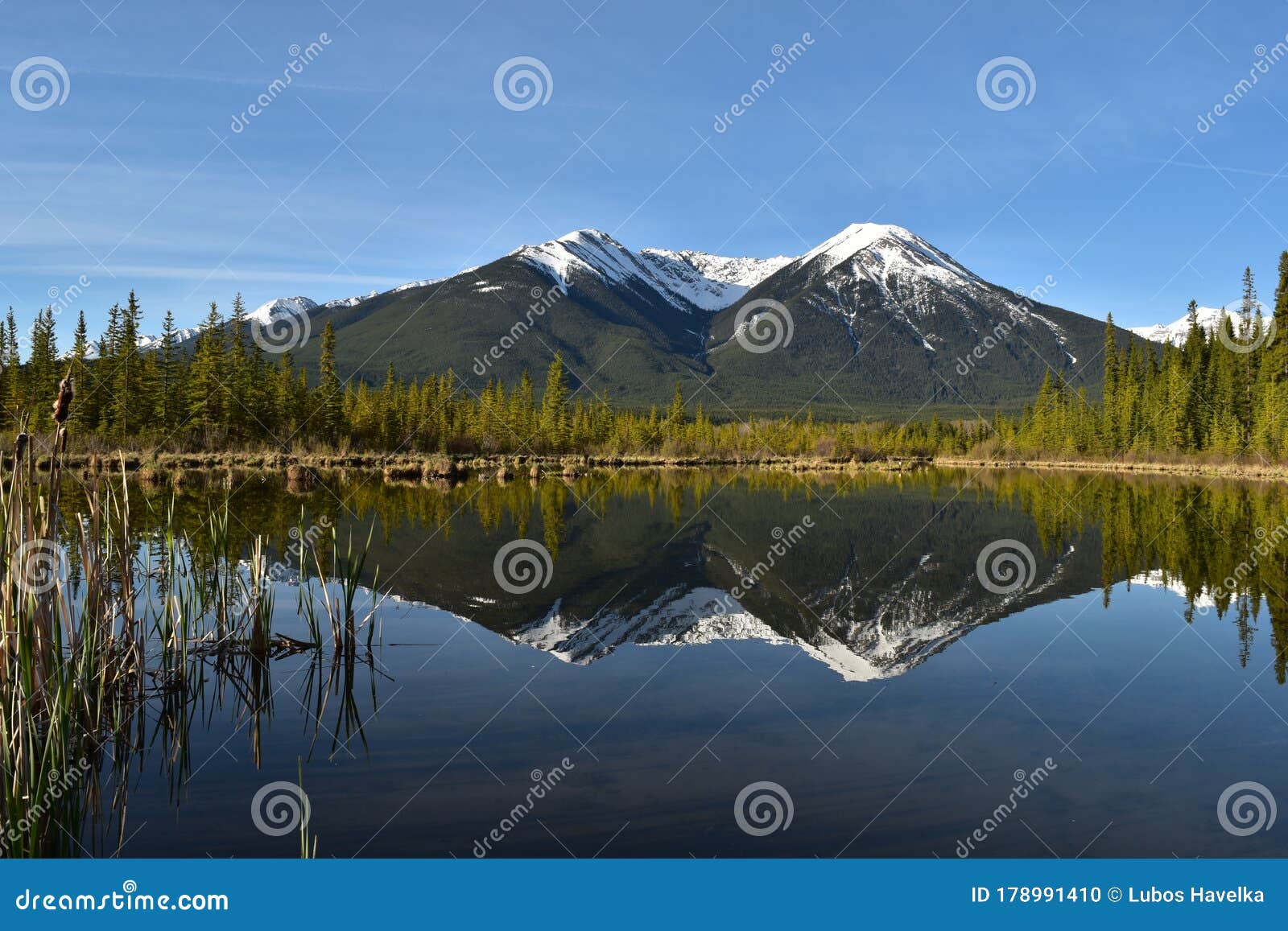 Vermilion Lake Alberta Banff Spring Canada Stock Photo - Image of close ...