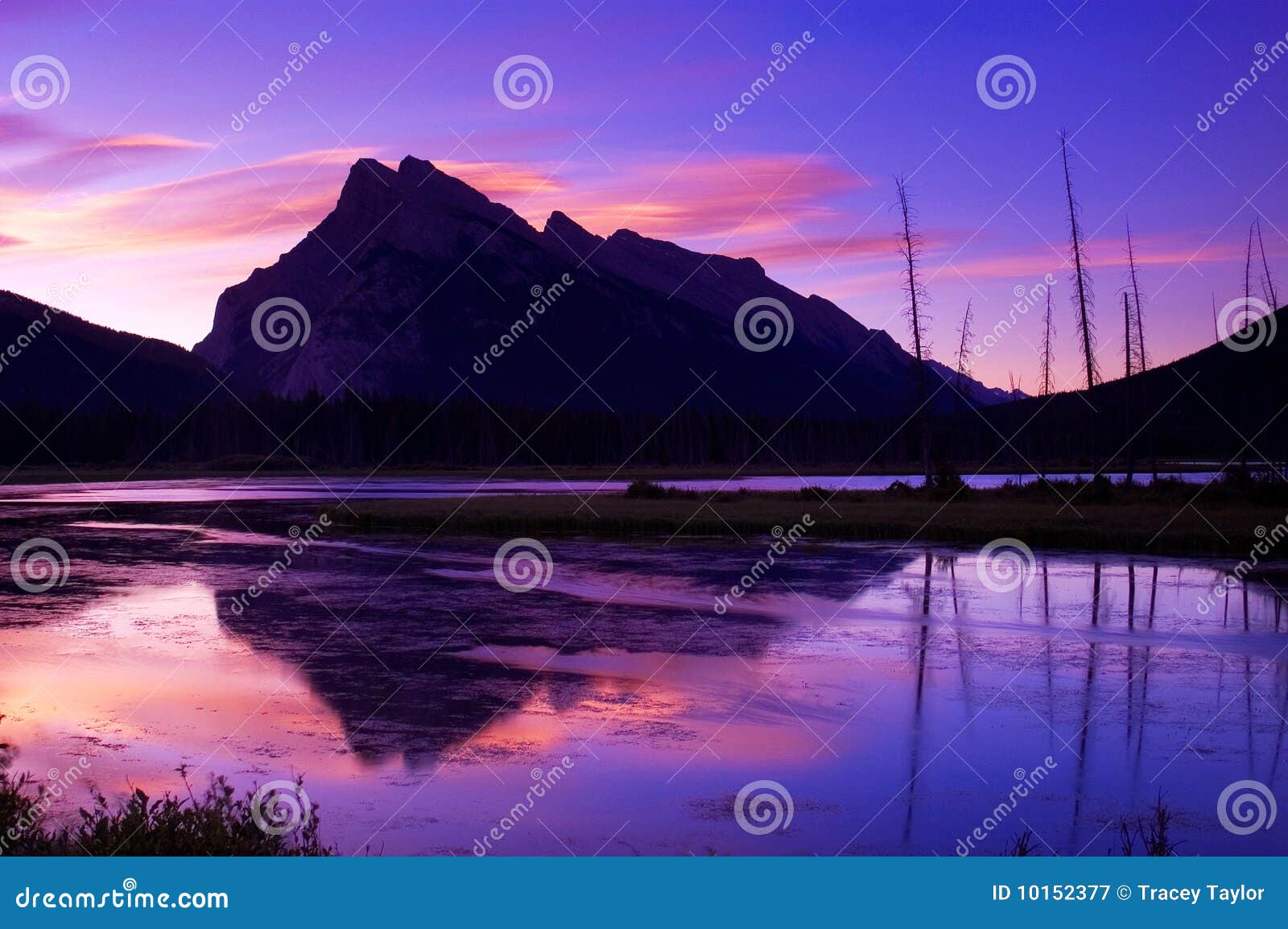 Vermillion Lakes 1 stock image. Image of highway, lake - 10152377