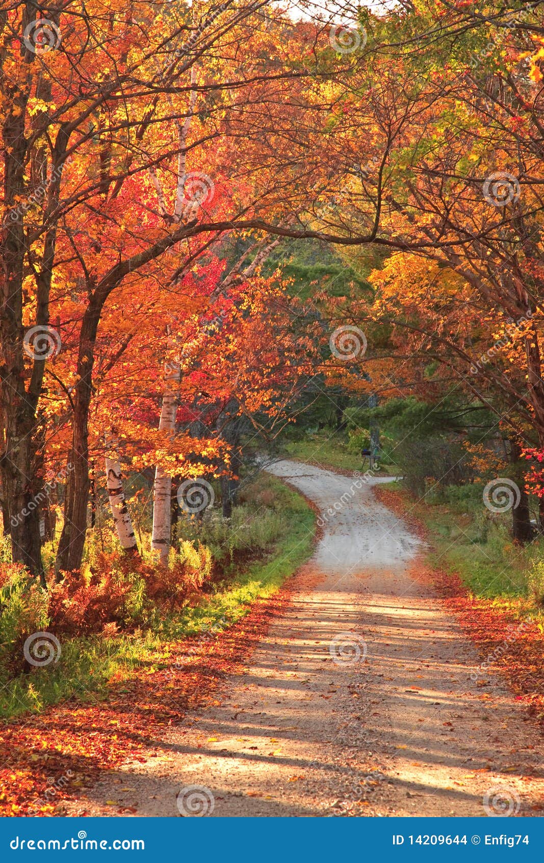 Vermont Countryside Road during Autumn Stock Photo - Image of november ...