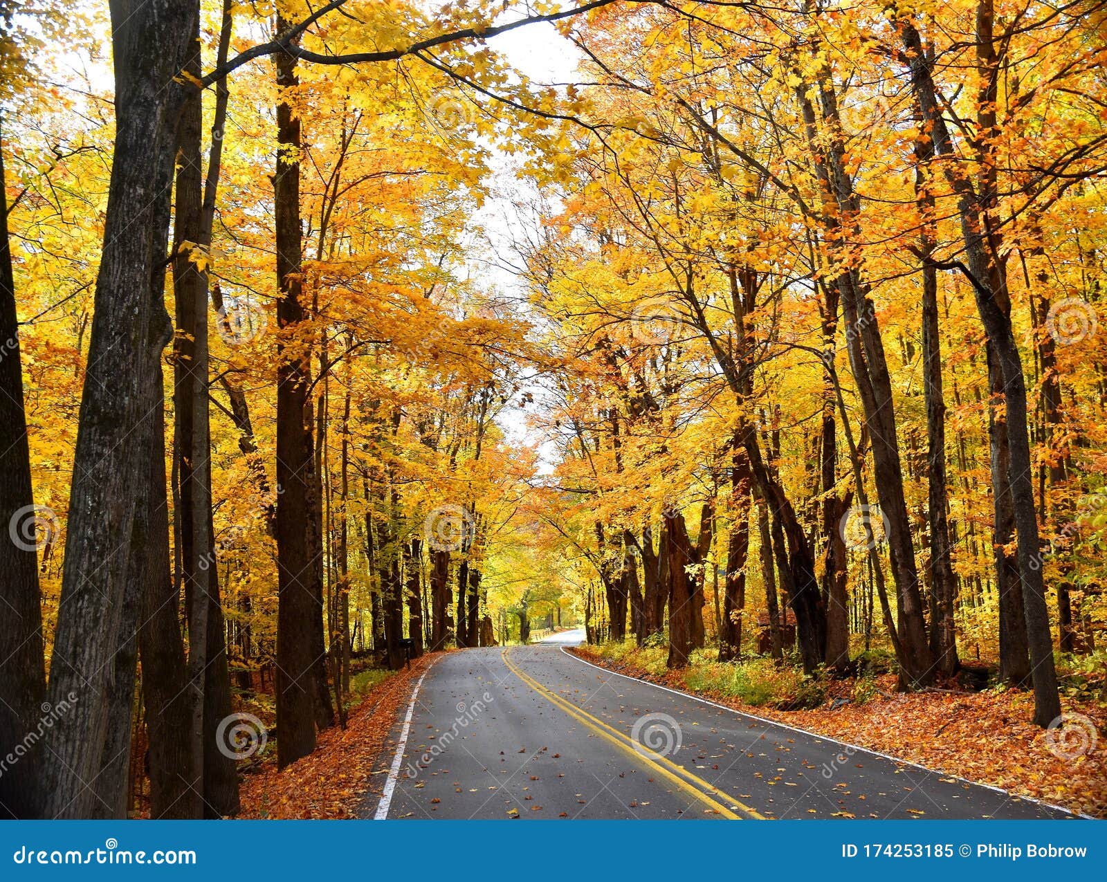 Vermont Fall Back Road stock image. Image of autumn - 174253185