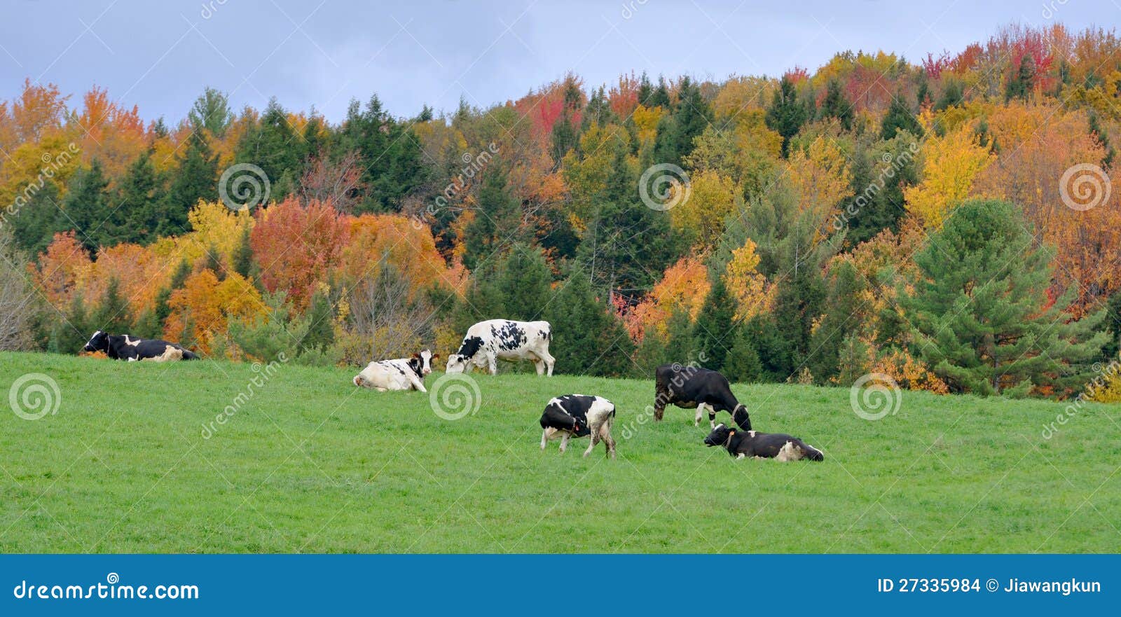 Vermont Fall Foliage, Mount Mansfield, Vermont Stock Photo - Image of ...