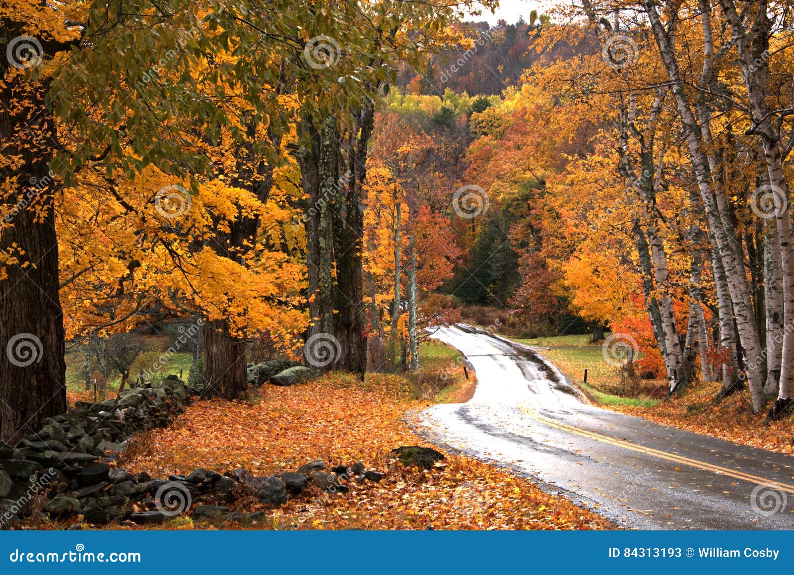 Vermont Fall Foliage VII stock image. Image of beautiful - 84313193