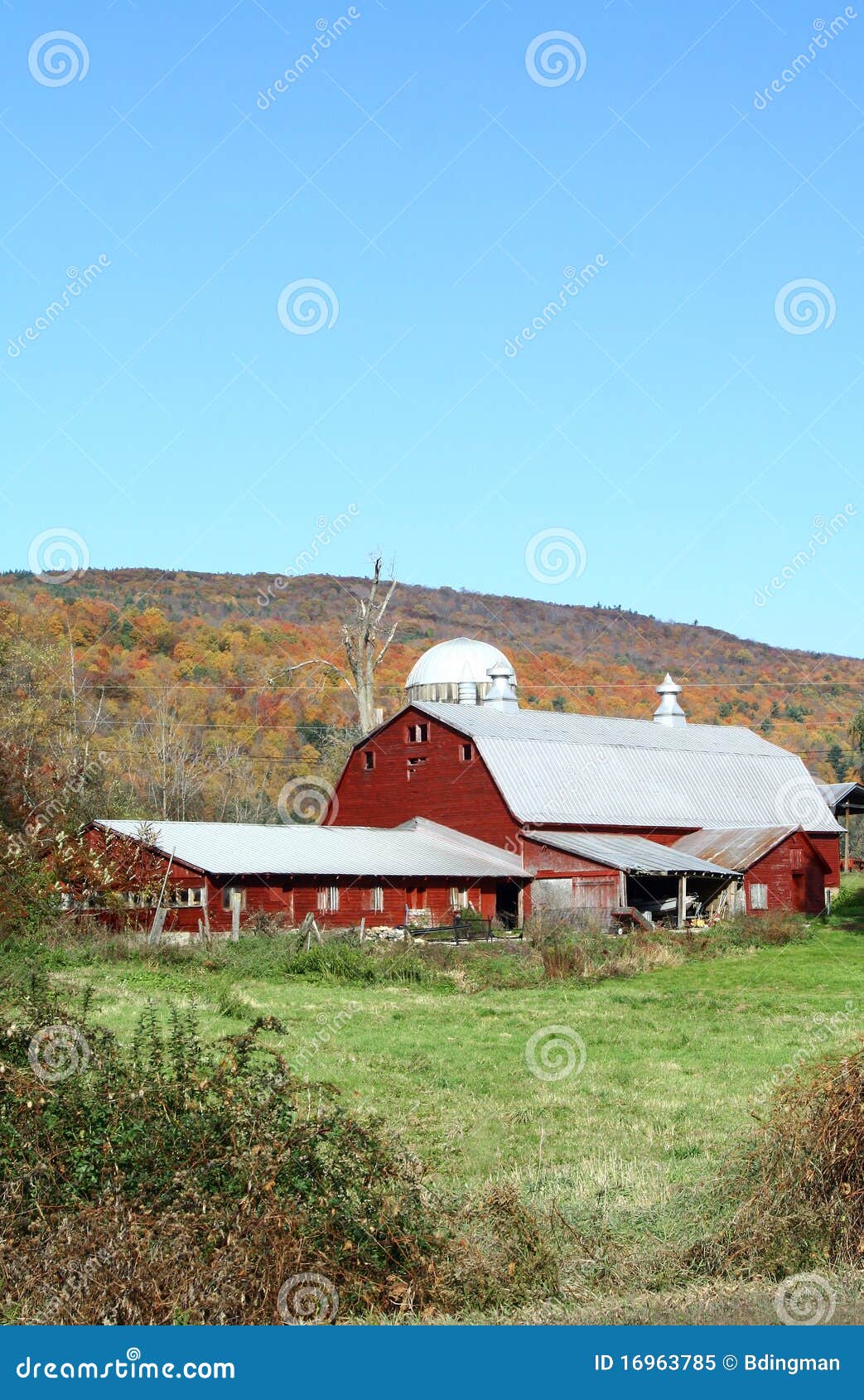 Vermont Farm stock image. Image of trees, farmland, large - 16963785