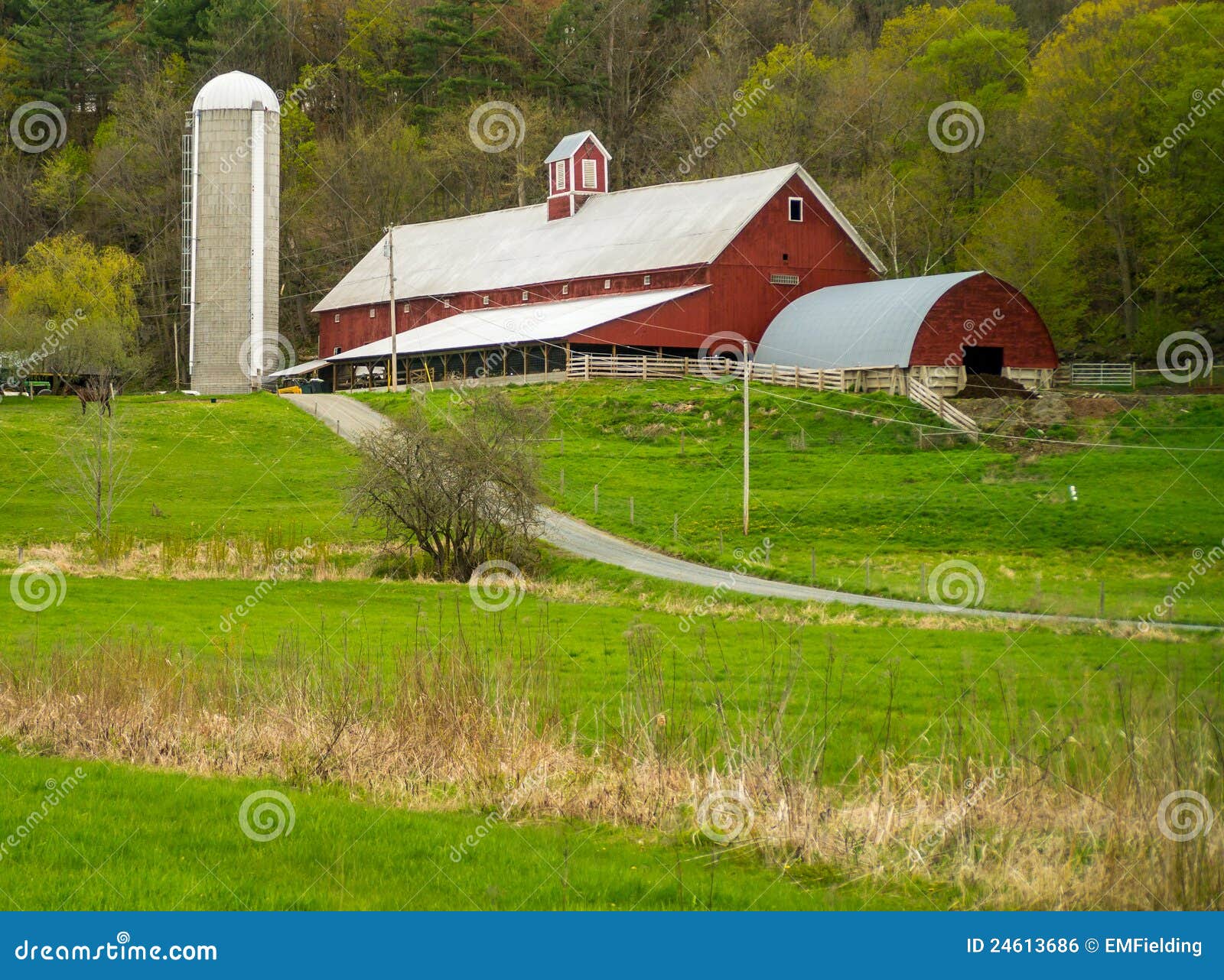 Fields And Farm Scenes