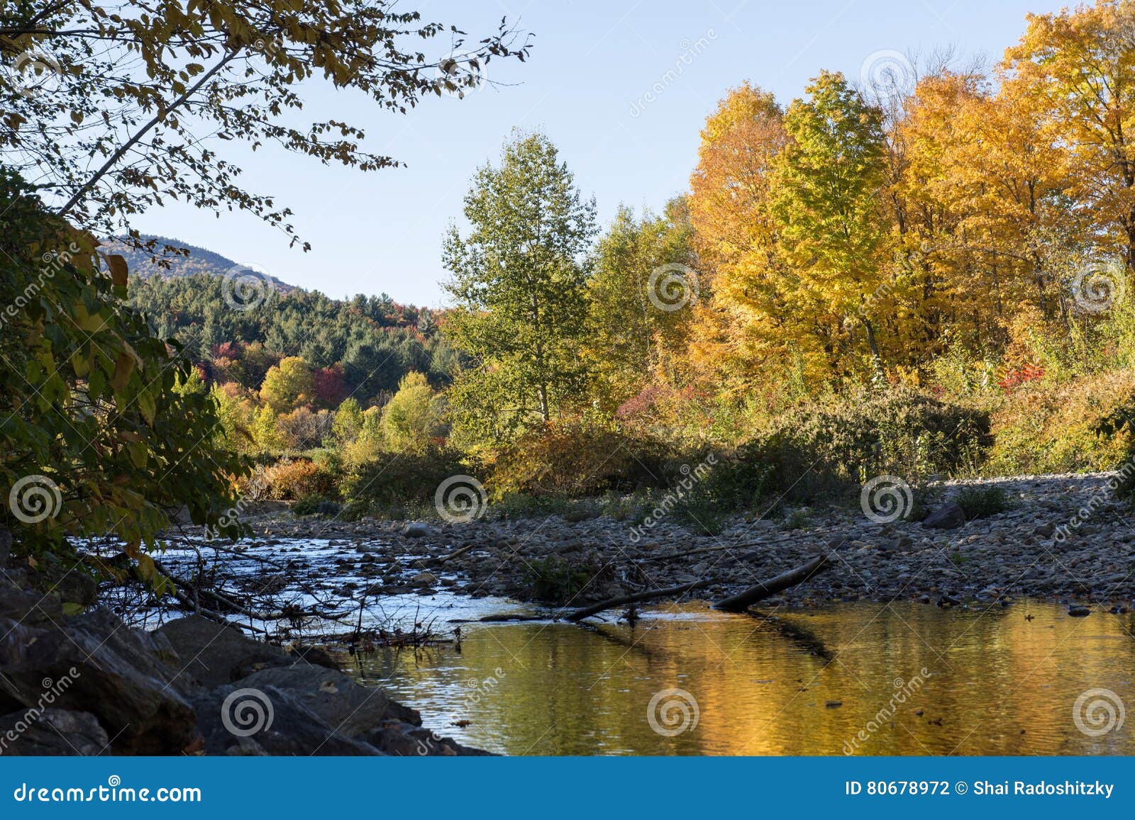 Vermont river at Autumn stock photo. Image of falling - 80678972
