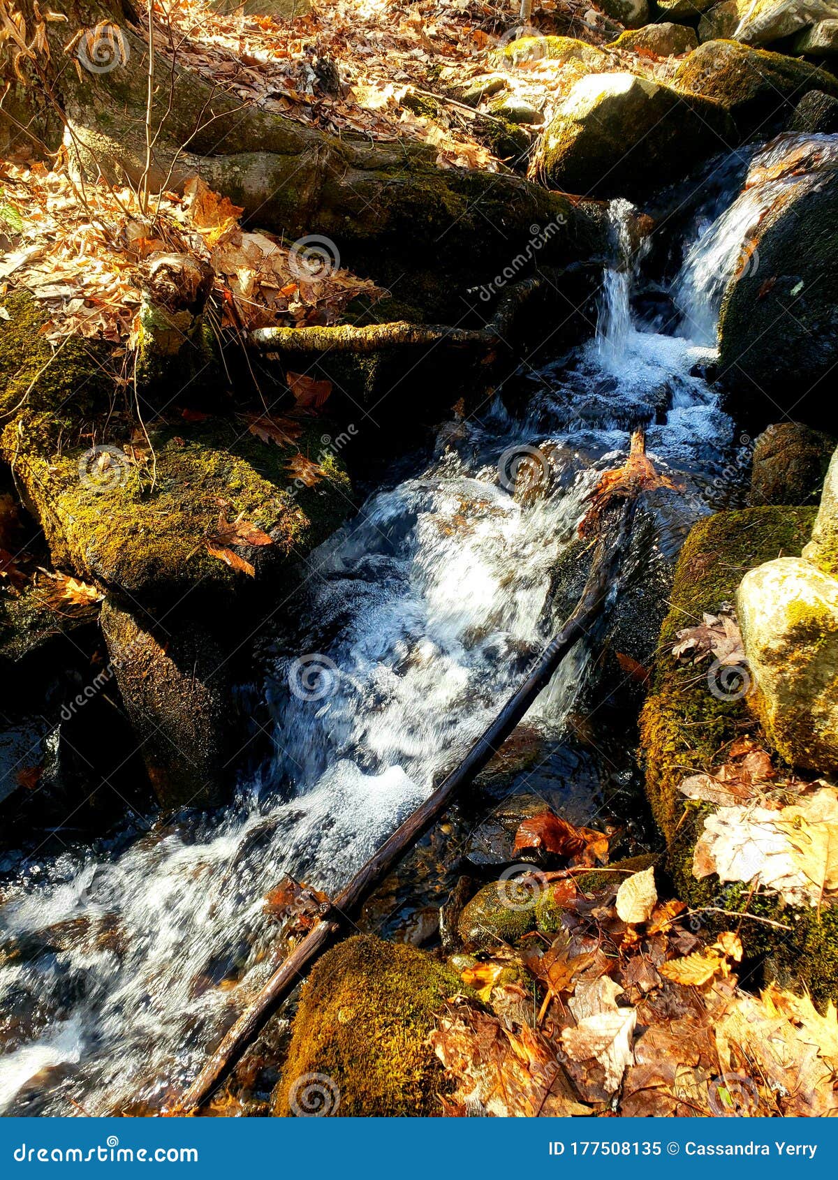 Vermont simple stream stock image. Image of stream, vermont - 177508135