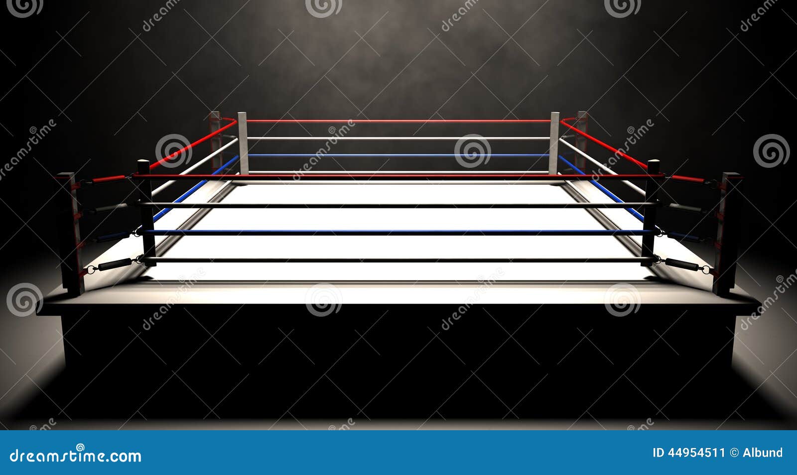 Verpacken Ring Spotlit Dark Stockbild - Bild von ring, kampf: 44954511