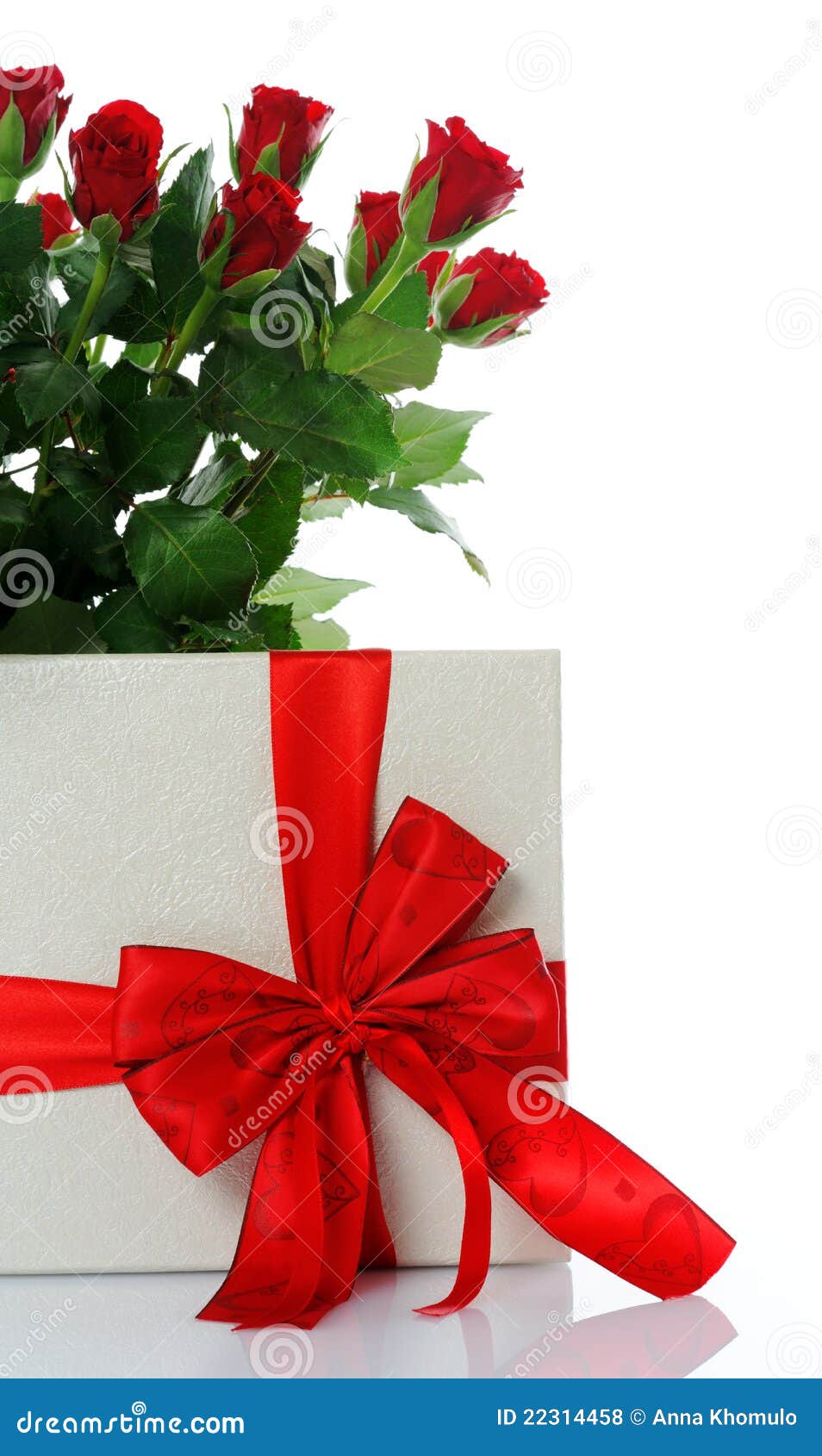 Verrassing stock foto. Image of rood, cadeau, doos, verrassing - 22314458
