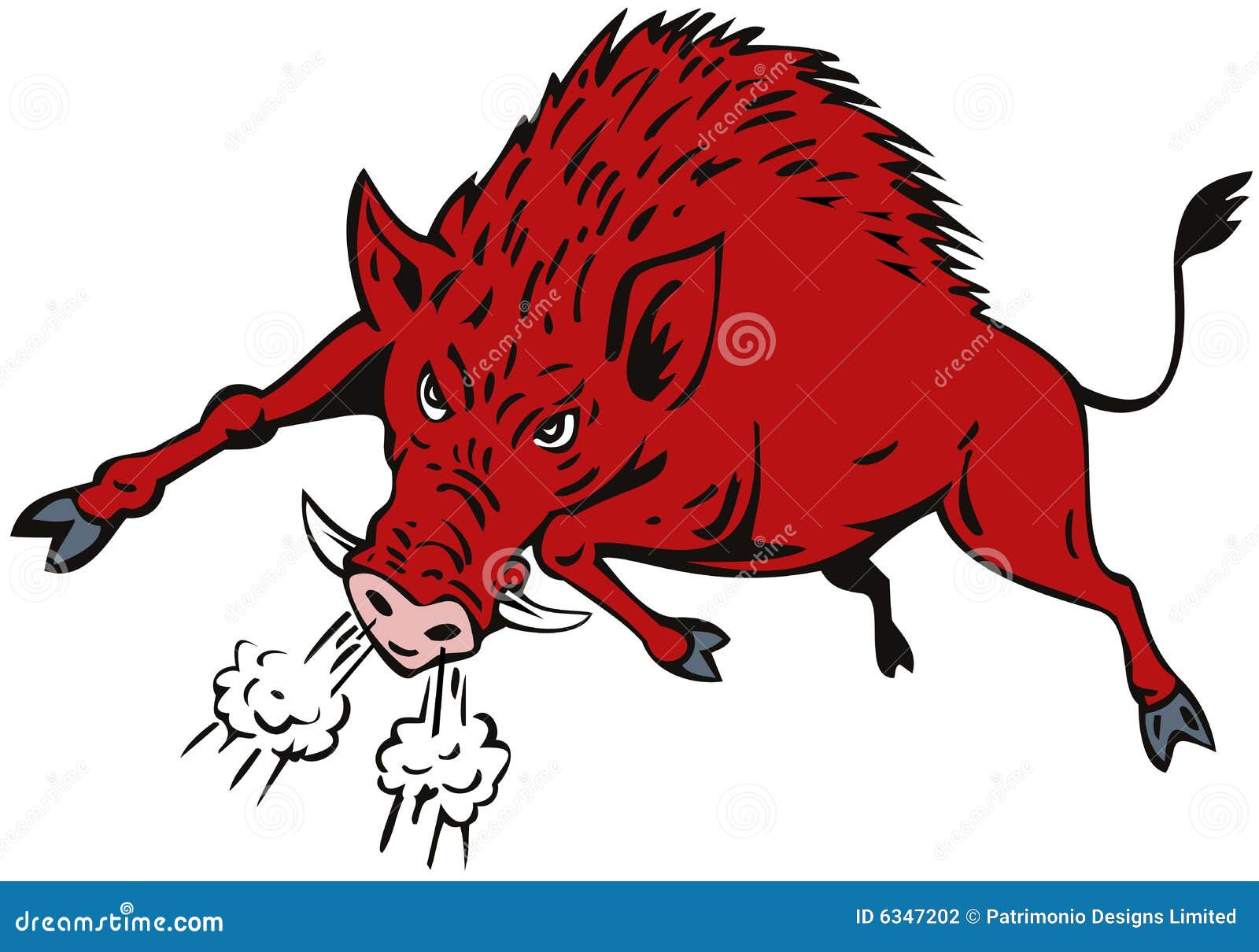 Verrat sauvage illustration stock. Illustration du verrat - 6347202