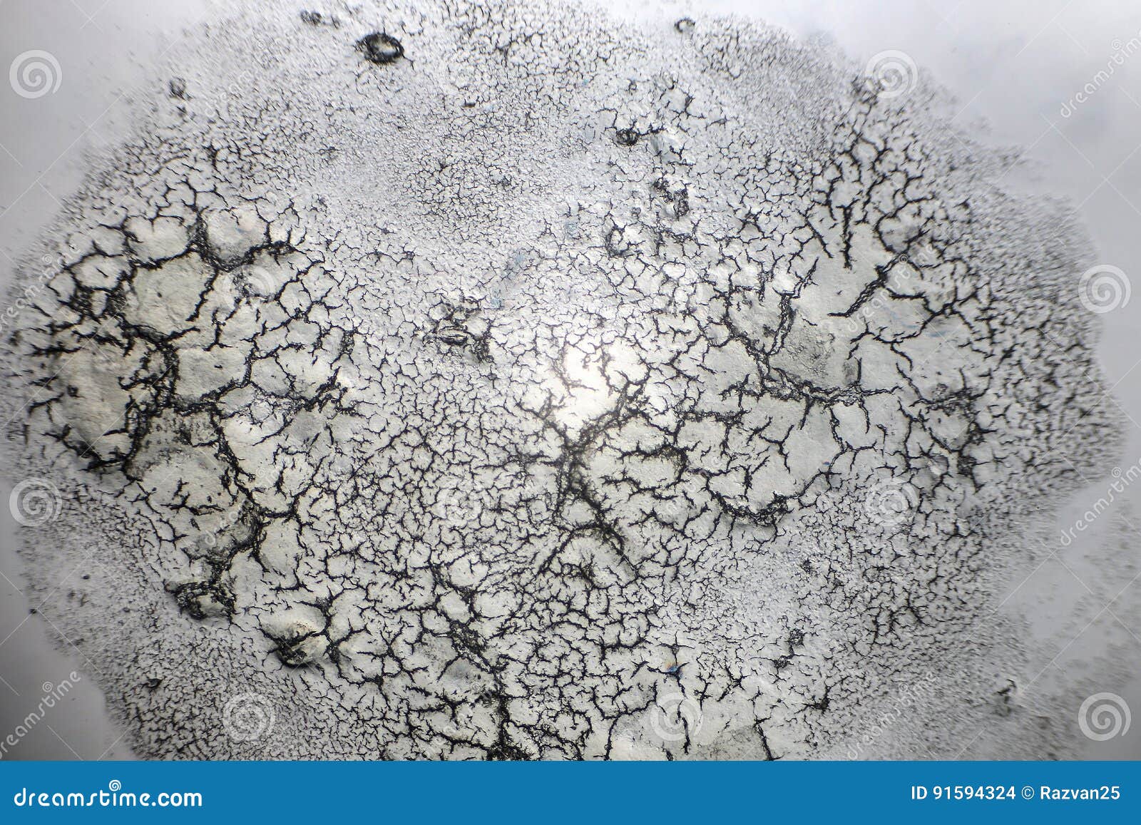 Verre Mince Fendu Sous Le Microscope Photo stock - Image du fissures ...