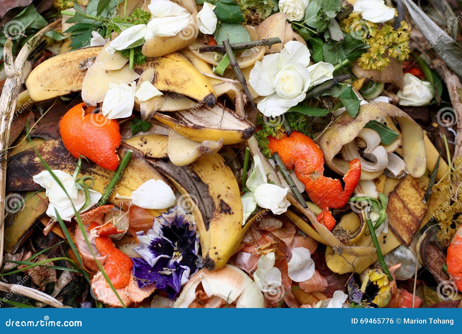 Vers bio-afval stock foto. Image of nave, recycleer, groen - 69465776