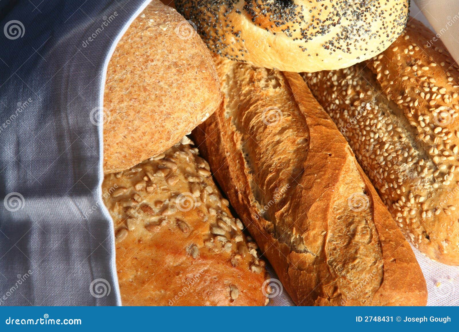 Vers Brood stock afbeelding. Image of verscheidenheid - 2748431