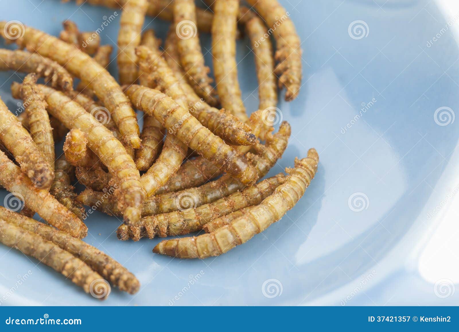 Vers De Farine Rôtis Comestibles Image stock - Image du mangez, rôti ...